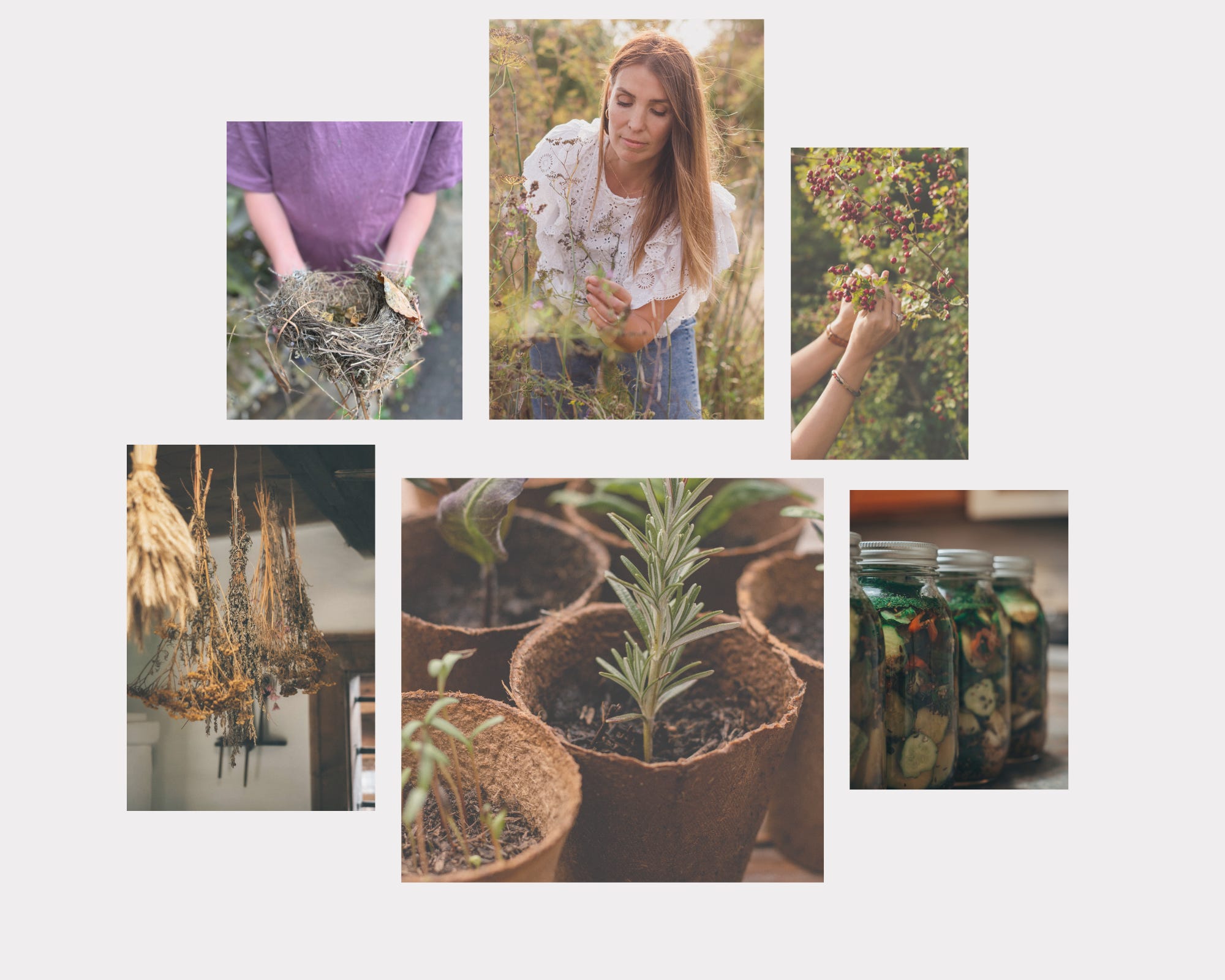 Why Substack? - by Izzy Walton - The Beautiful Chaos