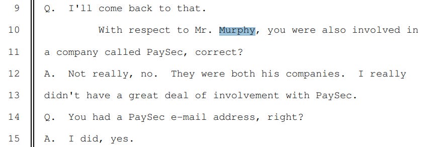 Looking More Closely at the Wirecard Money Laundering Network