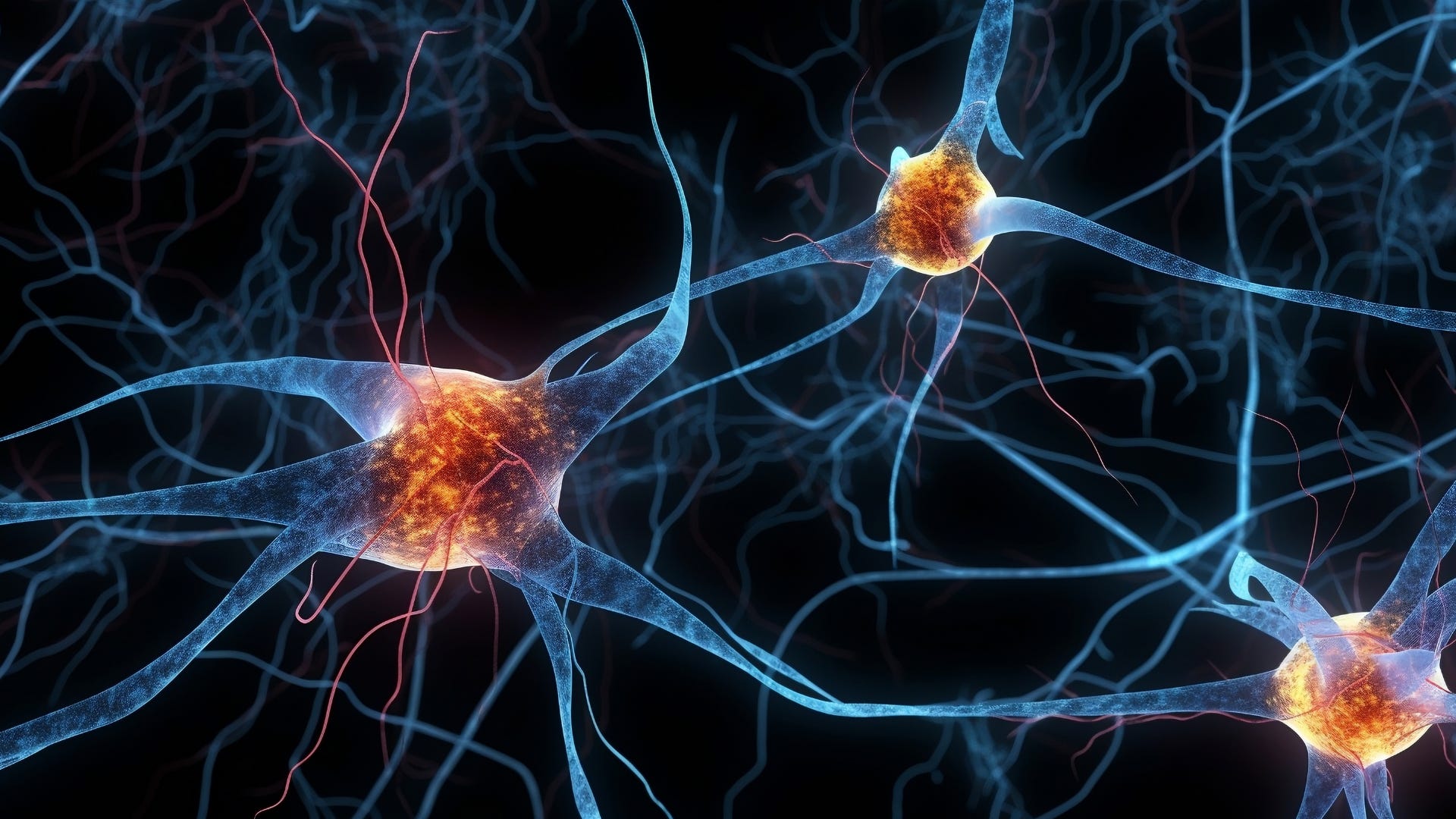 Synaesthesia - The Ultimate Guide - by Kami Newton