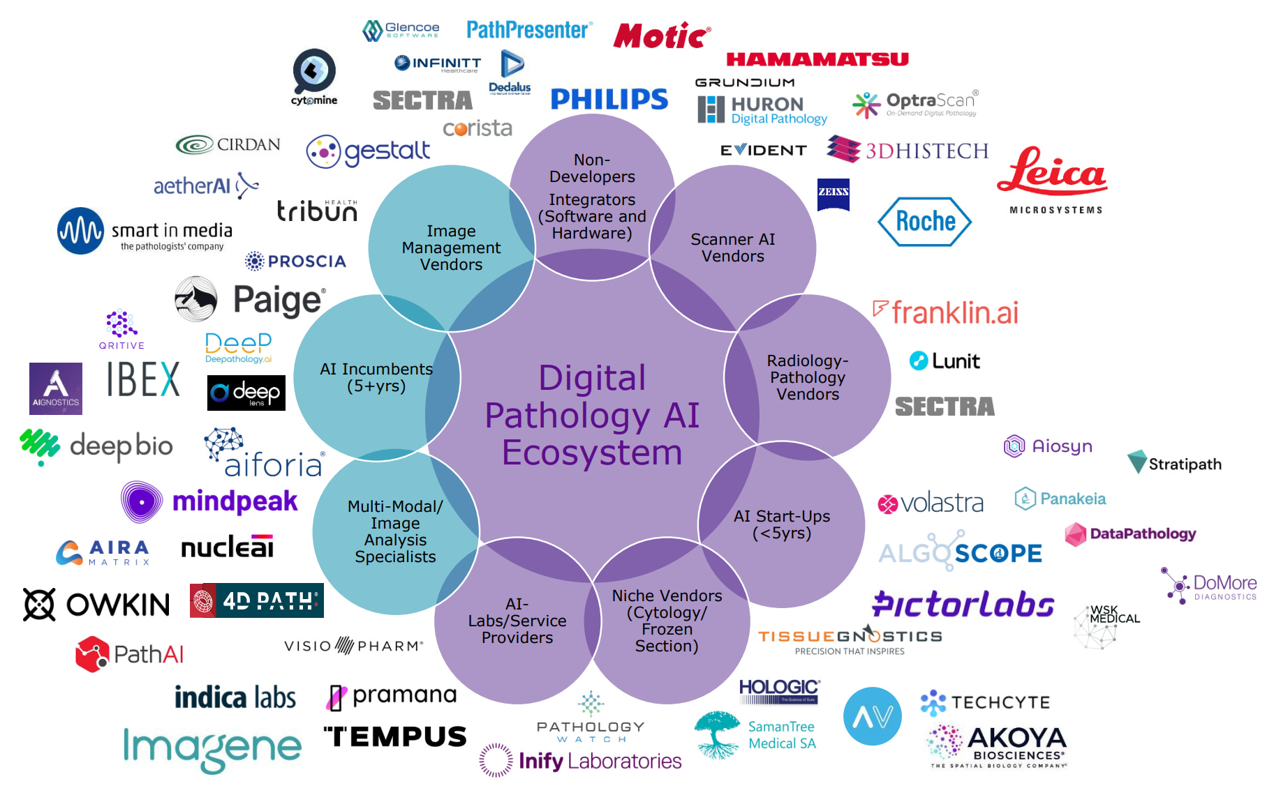 Beyond Diagnosis: Digital Pathology's Emerging Role in Drug Development