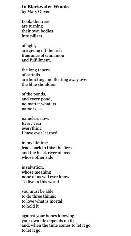 Poems for Your Weekend - by Maya C. Popa - Poetry Today