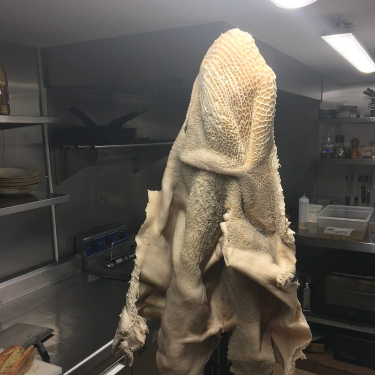 Gareth Eoin Storey | Substack