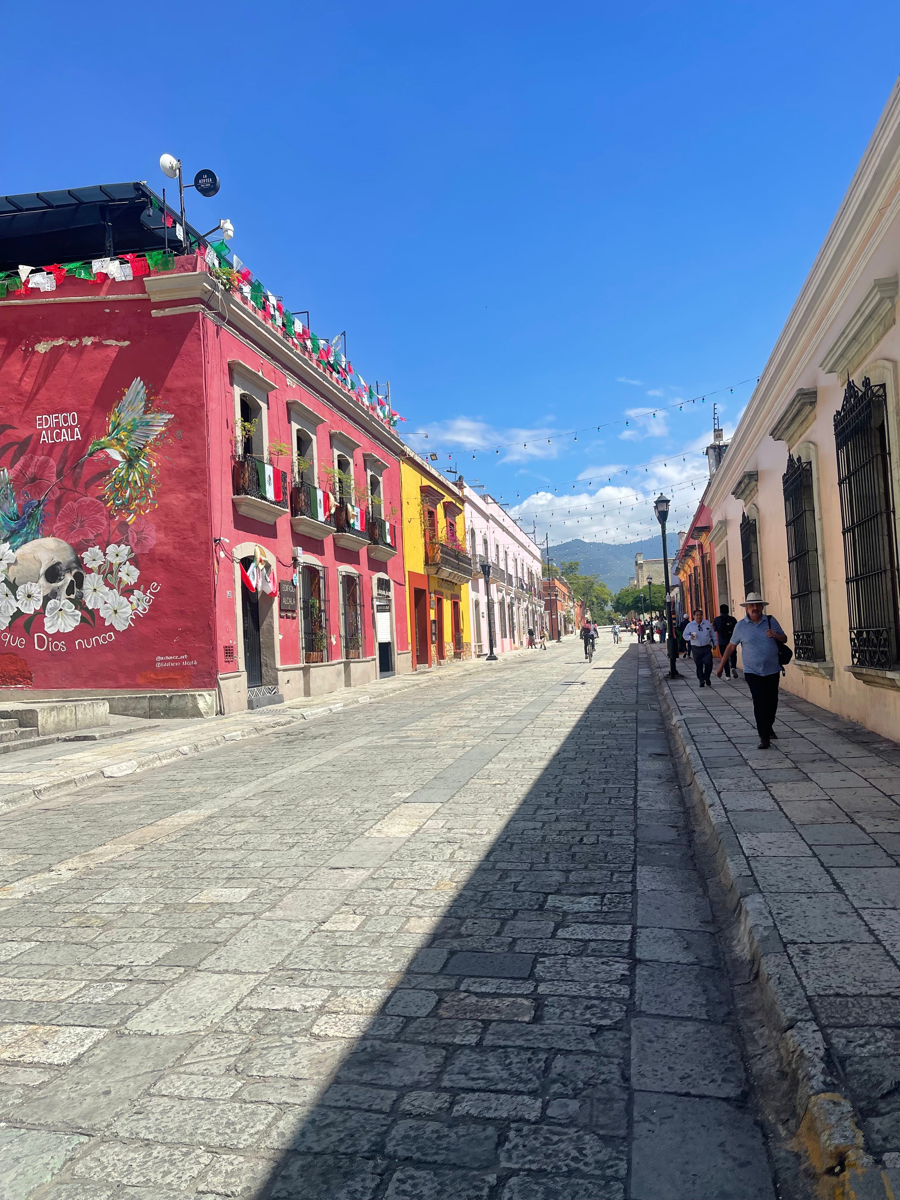 The Universal Language of Strength - by Anne Reuss