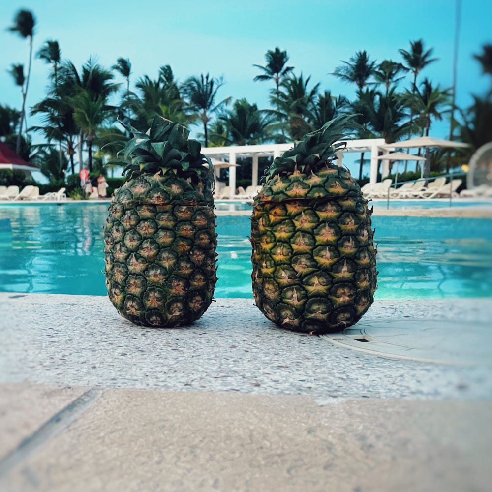 Summer Fruits Tumblr