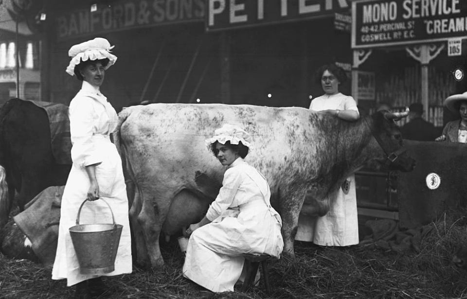 ANCESTRAL EATING: Dairy, Some Notes on Pasteurisation