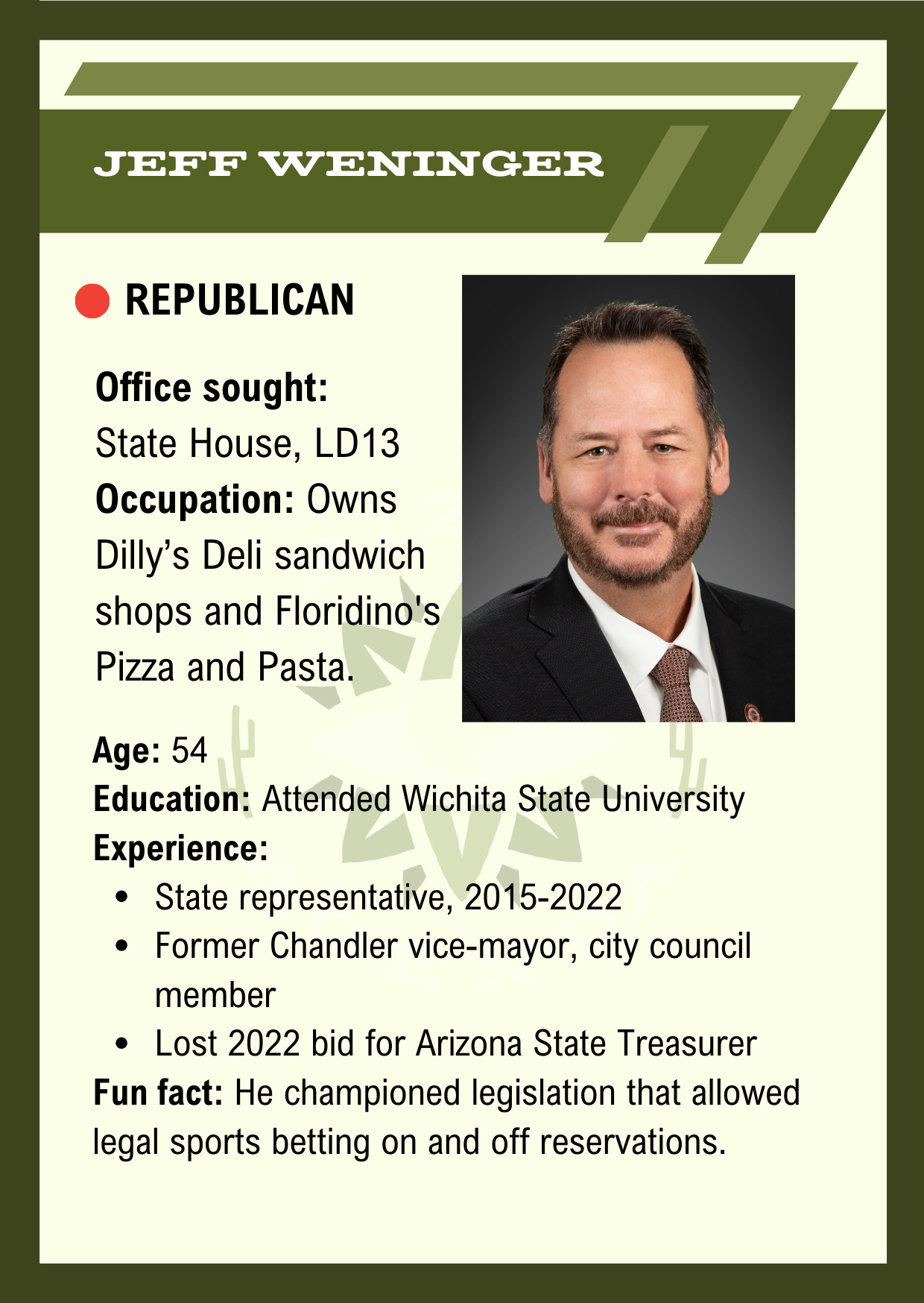 LD13 Candidate Cards - by Nicole Ludden - Arizona Agenda