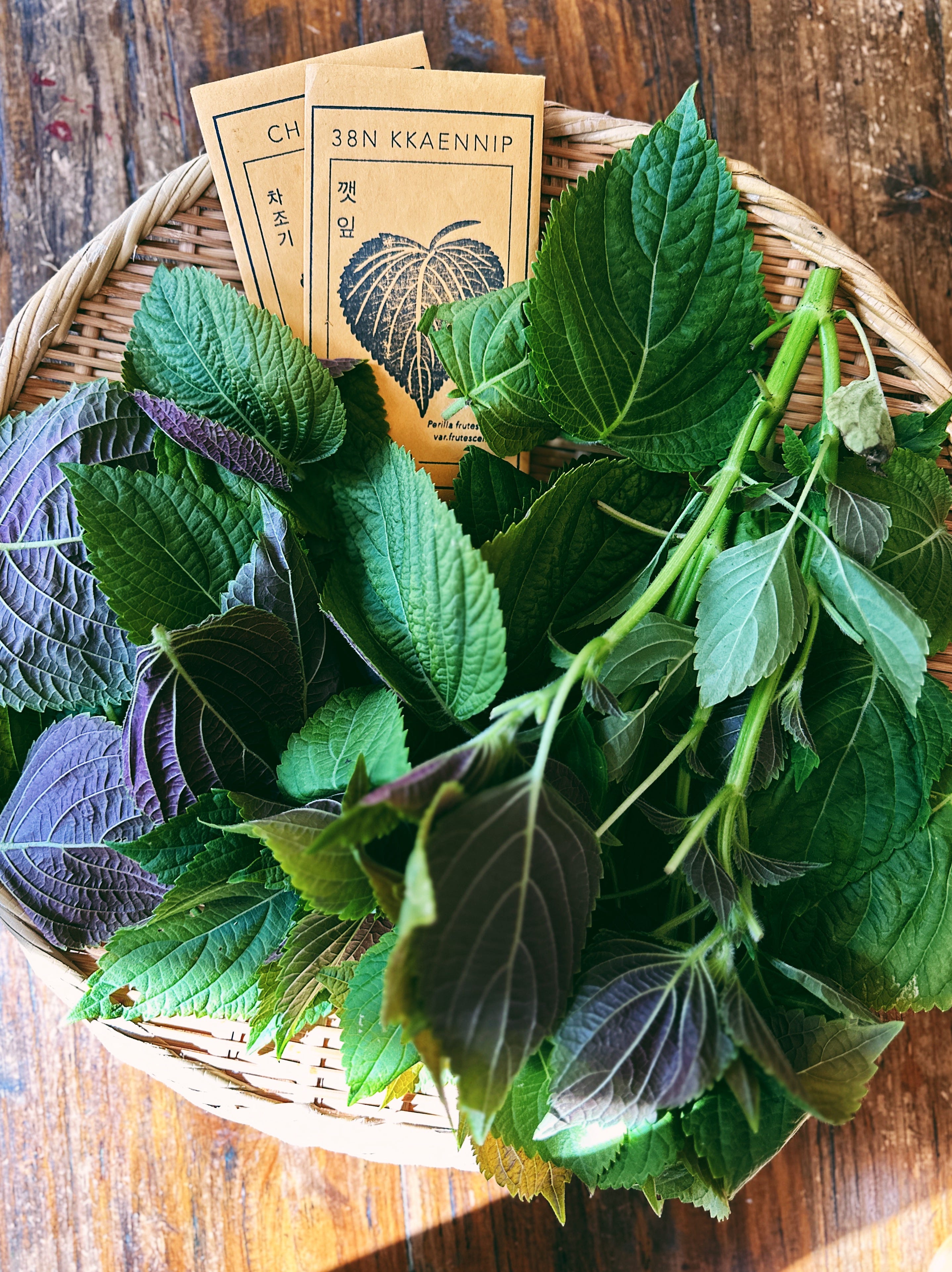 Quick 38N Gaennip Kimchi for Second Generation Seeds