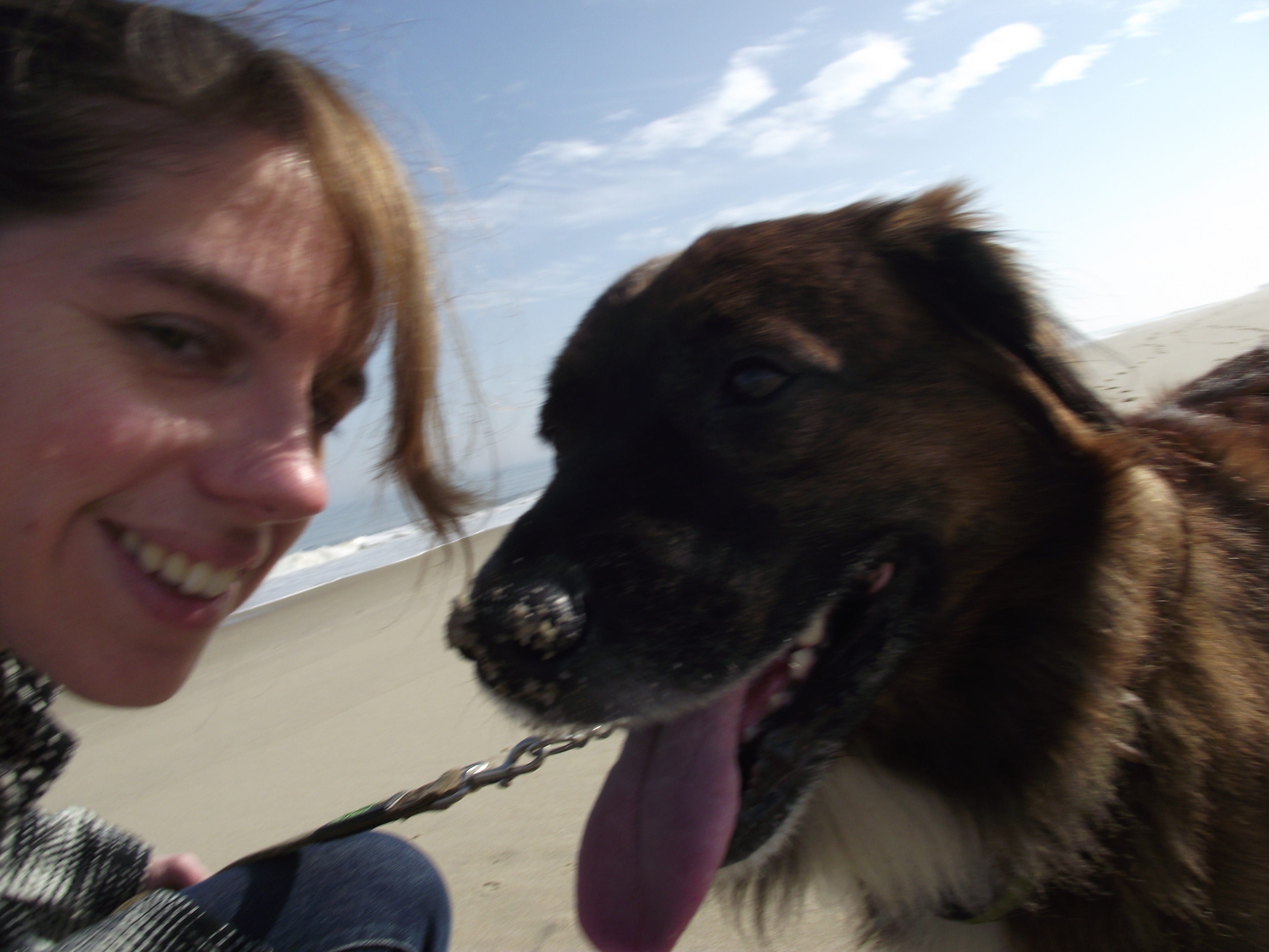Remembering My Quirky Dog - by Alissa Grosso