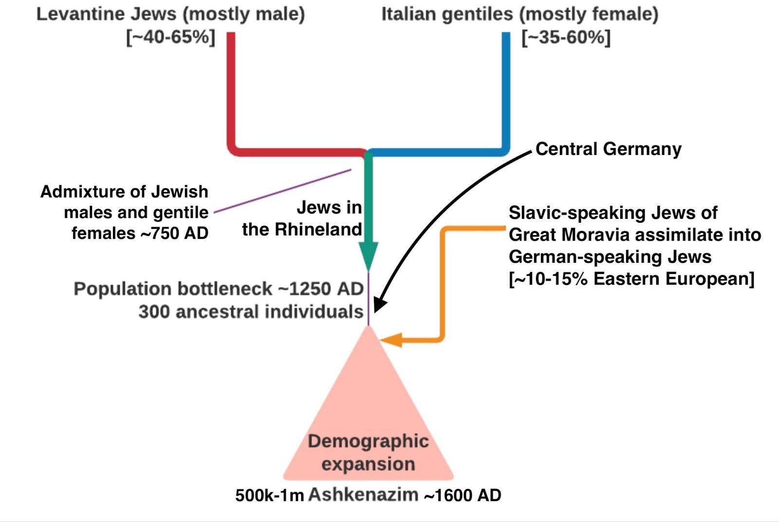 RKUL Hit List 2023: Ashkenazi Jewish genetics, a match made in the ...