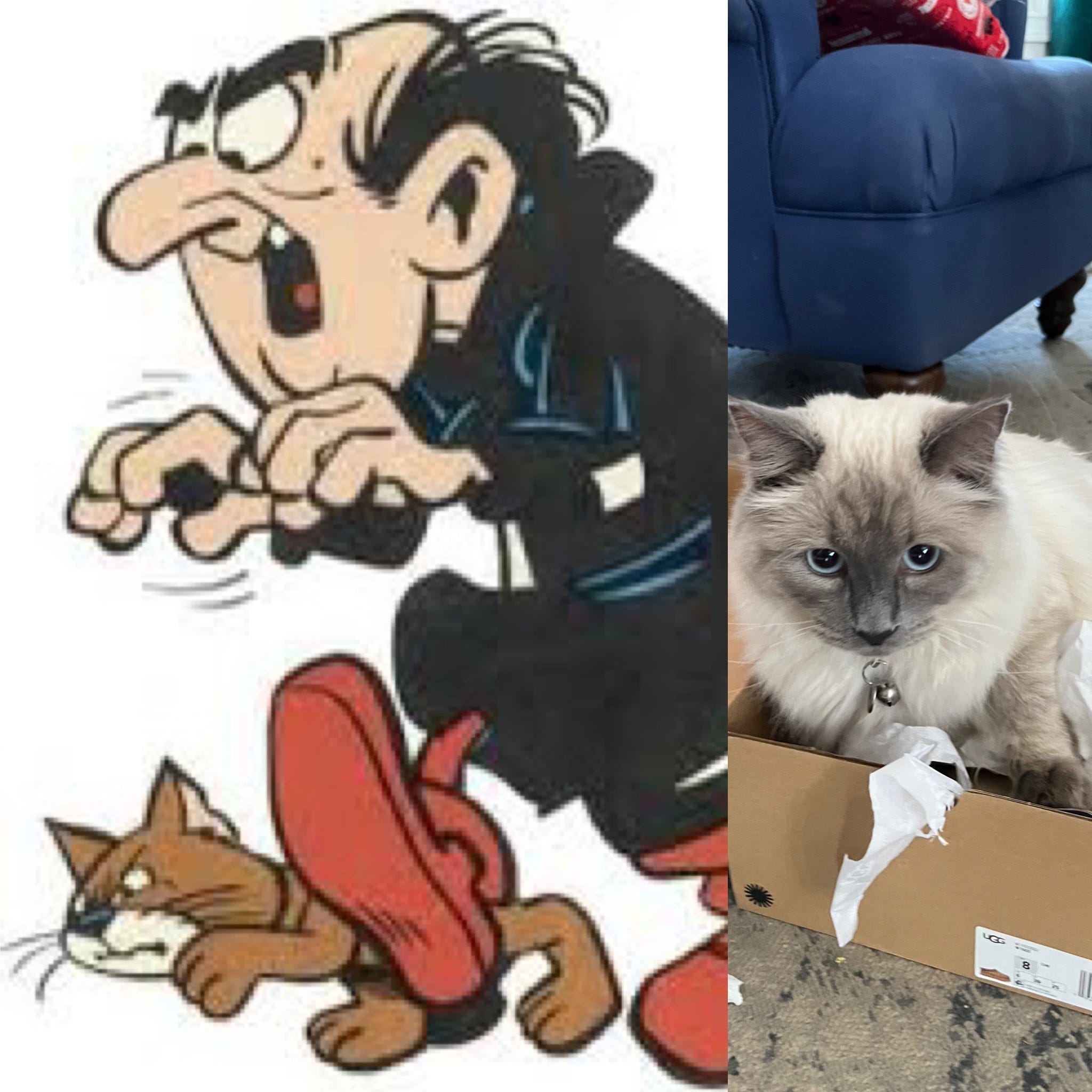 A catechetical offering in partnership with my theology cat