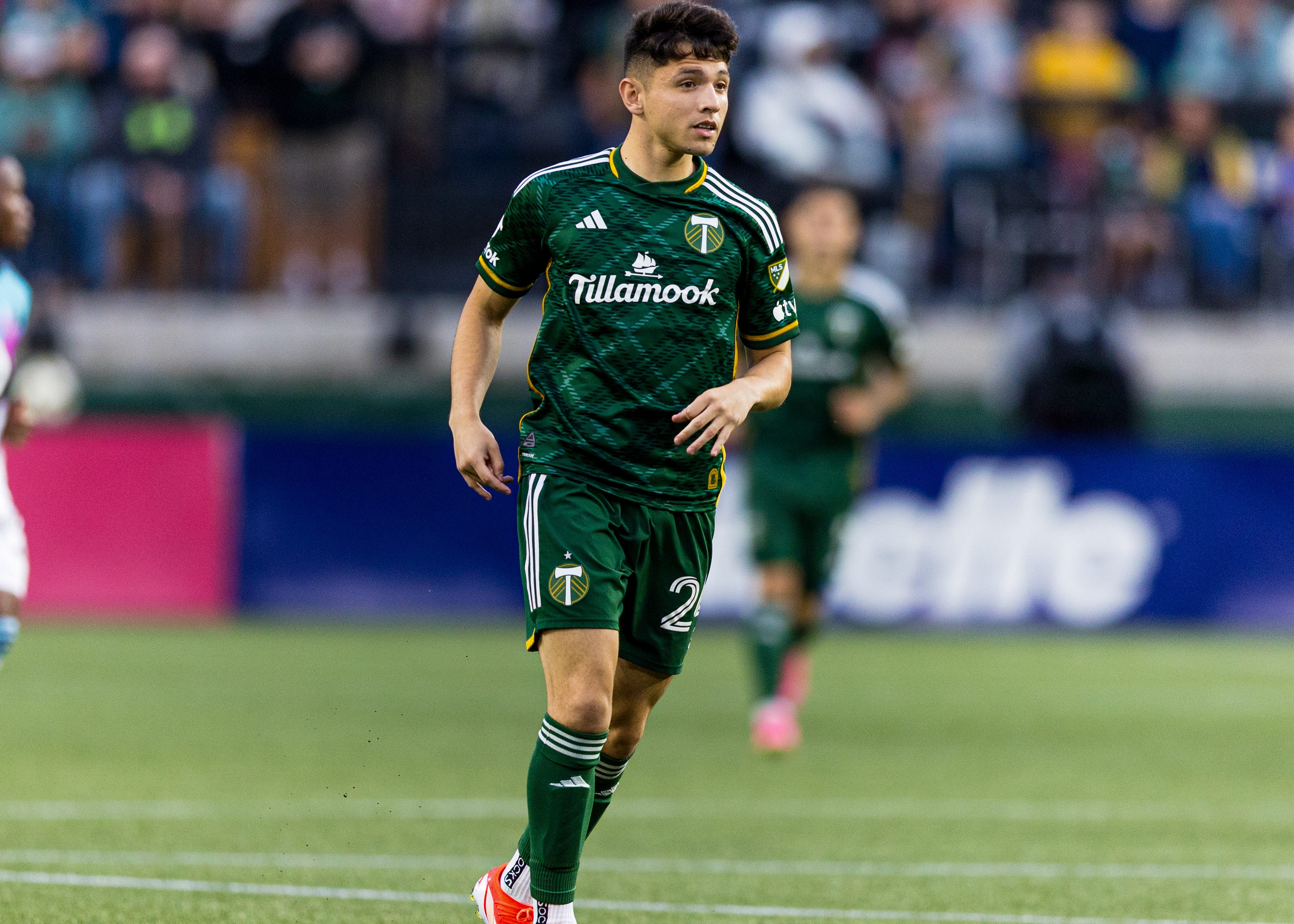 David Ayala: The Rottweiler of the Portland Timbers