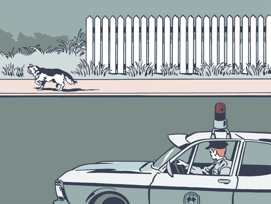 The Gruesome and Heroic Afterlife of Peter the Dog