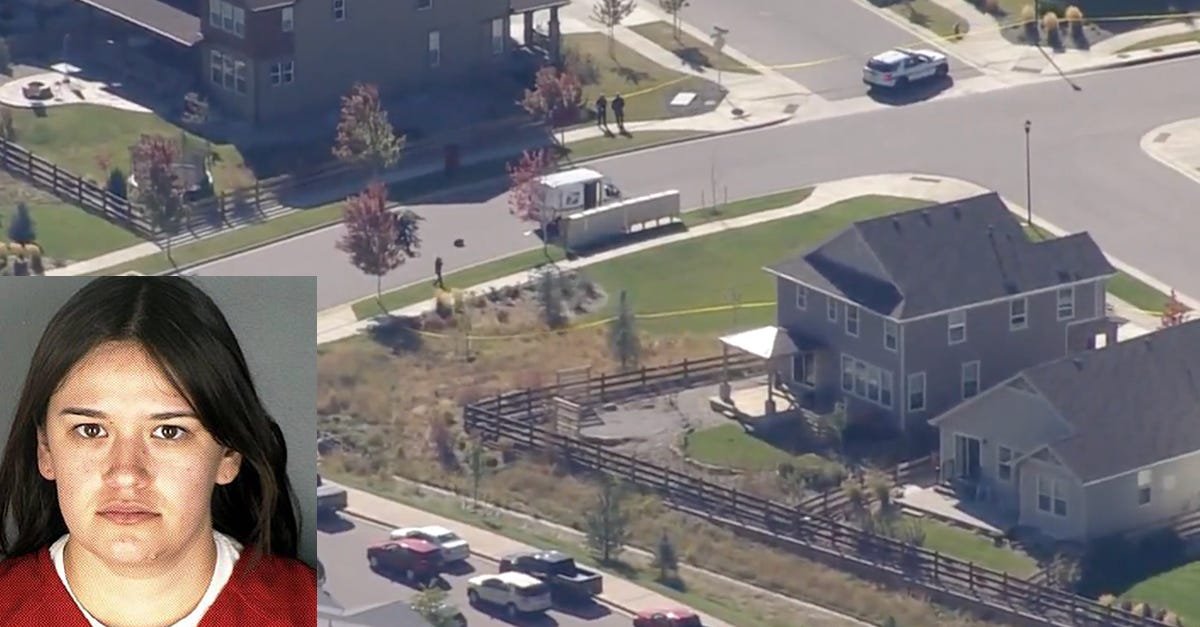 Jealousy, Revenge, and a Deadly Custody Battle: The Calculated Killing ...