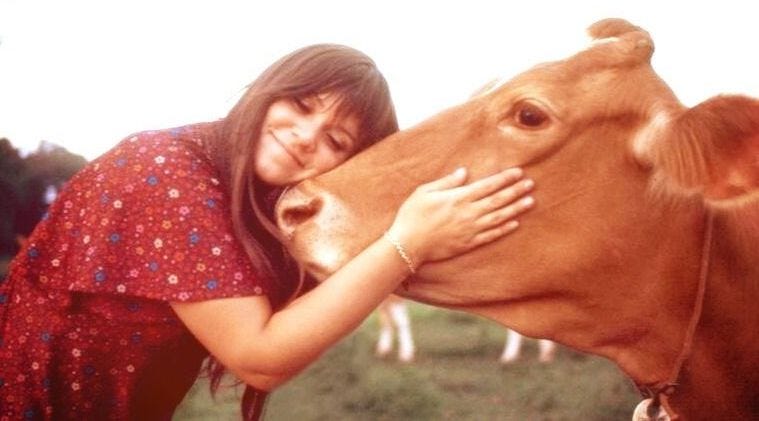 Ruby Tuesday - by Malachy Tallack - For a Song