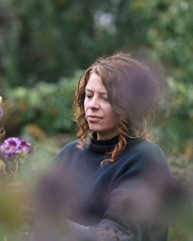 Grace Alexander | Substack