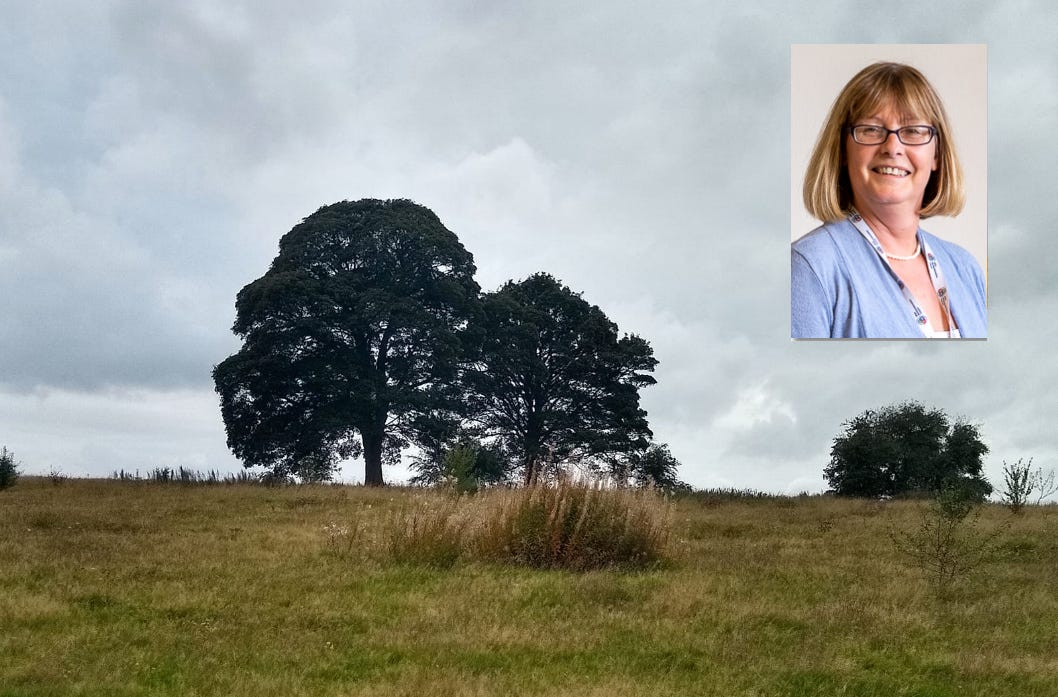 My NN: Labour’s Wendy Randall - NN Journal