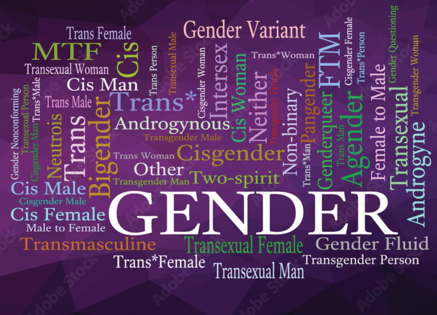 What it Means to Weigh In On Transgender Ideology For Kids & BioTech
