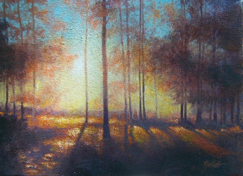 Sunburst. - Jack’s Substack