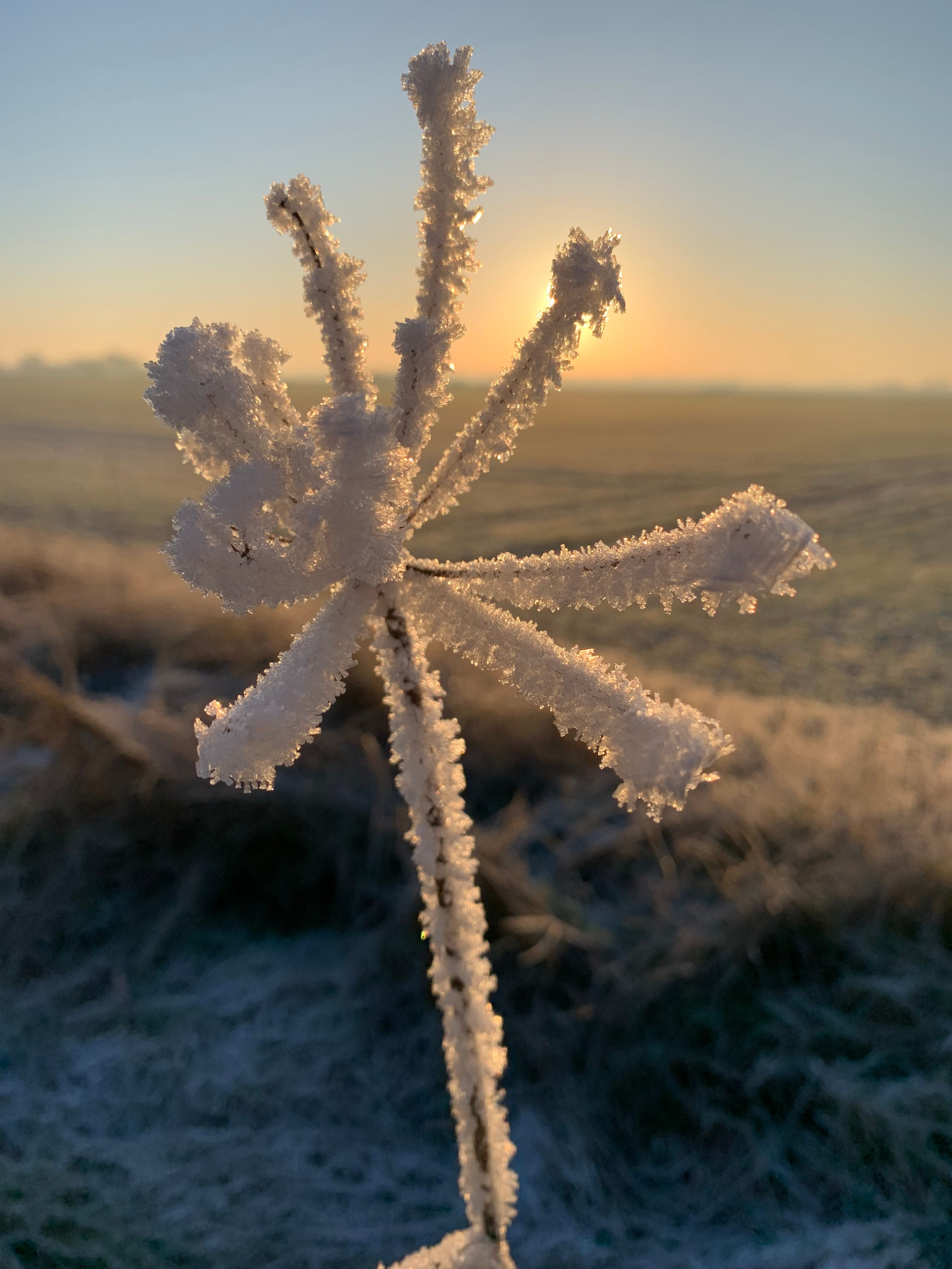 Planning Part Two... - Carolyn J Roberts Artist Substack