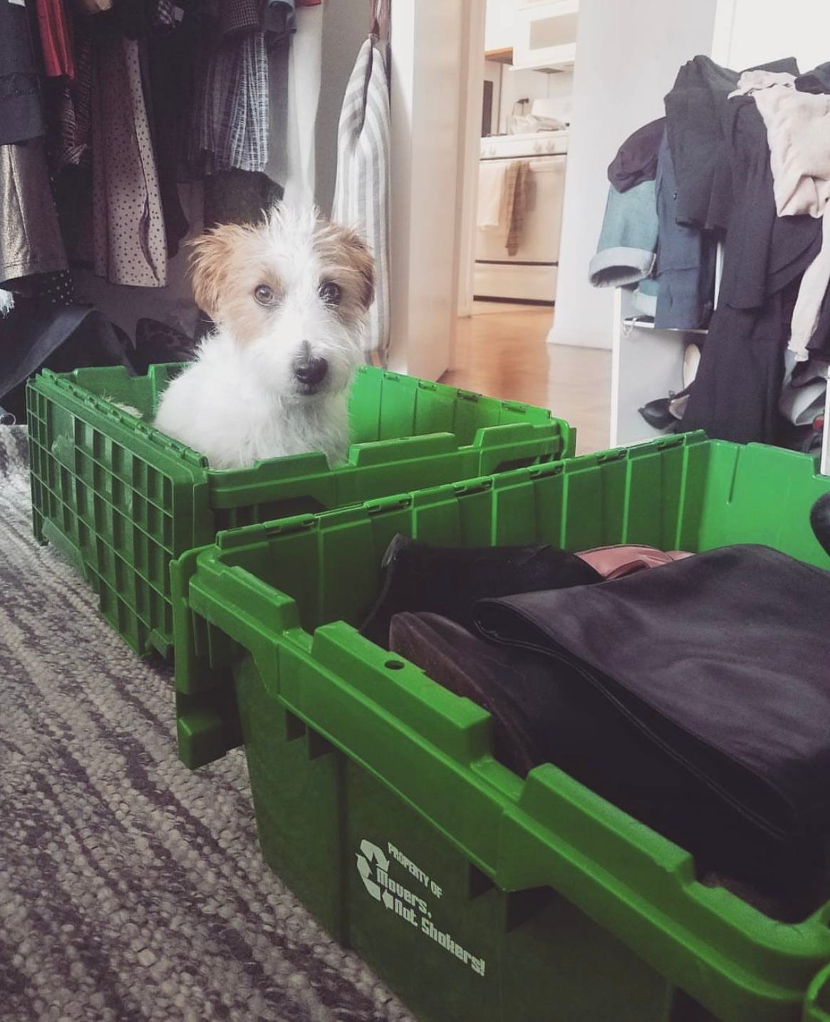 Home sweet home - by Simona Siri - Siri & The City