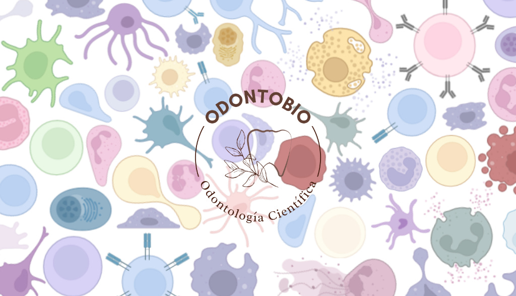 Inmunidad Adaptativa: Componentes, mecanismos y funciones.