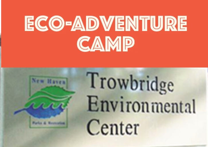 Special Edition: Hamden Guide to Summer Camps 2023