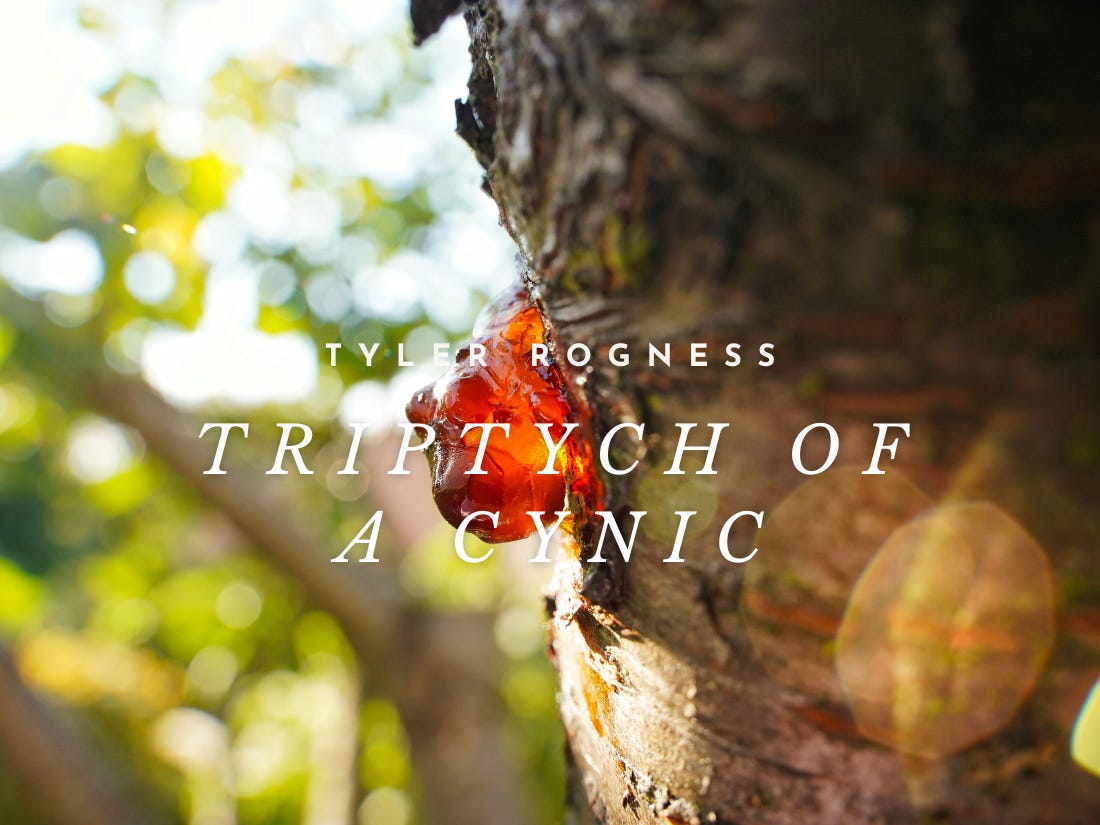 Triptych of a Cynic—Tyler Rogness - by The Rabbit Room