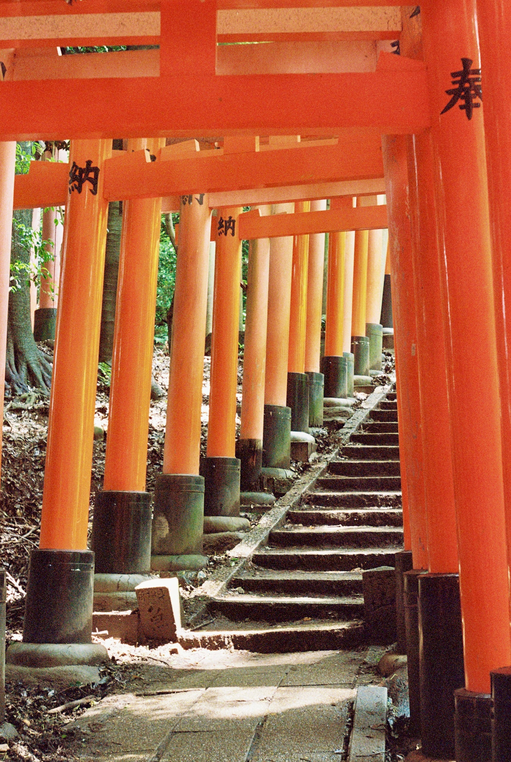 Kyoto On Film - by Laura Jean - Little Musings