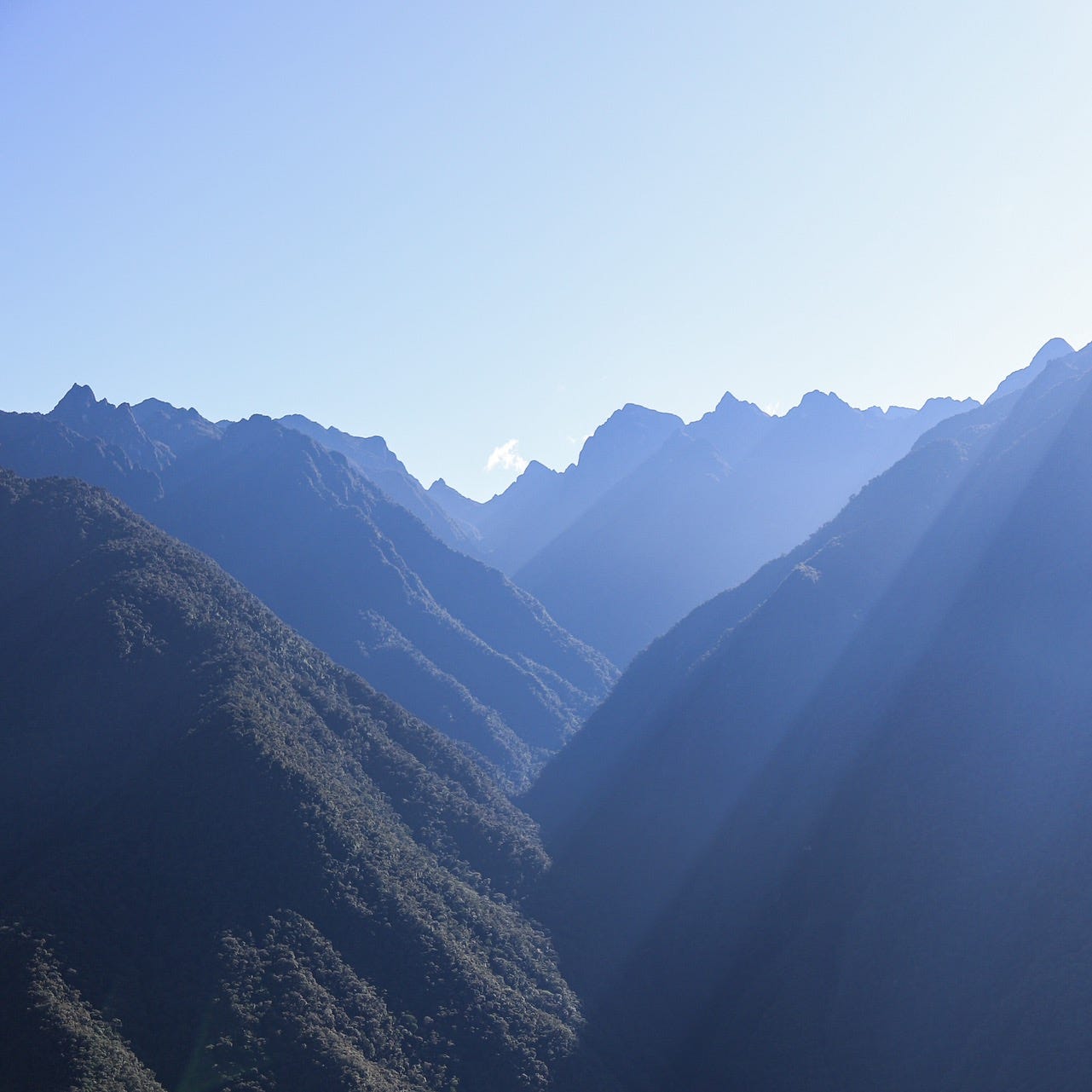 Miguel Guillén | Substack