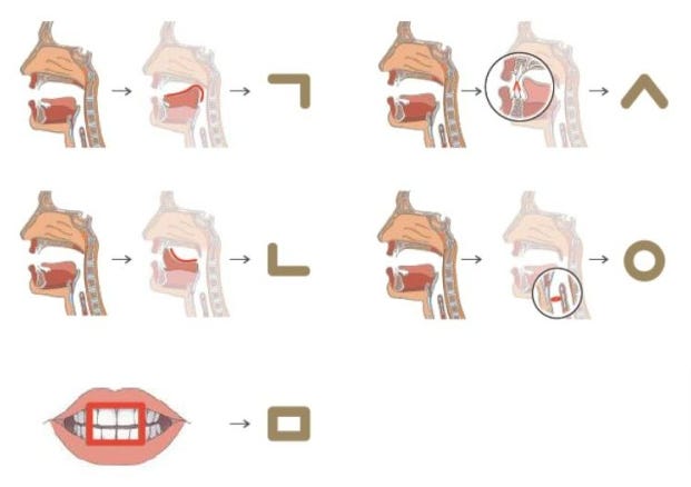 🤔 I Bet You Didn’t Know This About Korean Alphabet