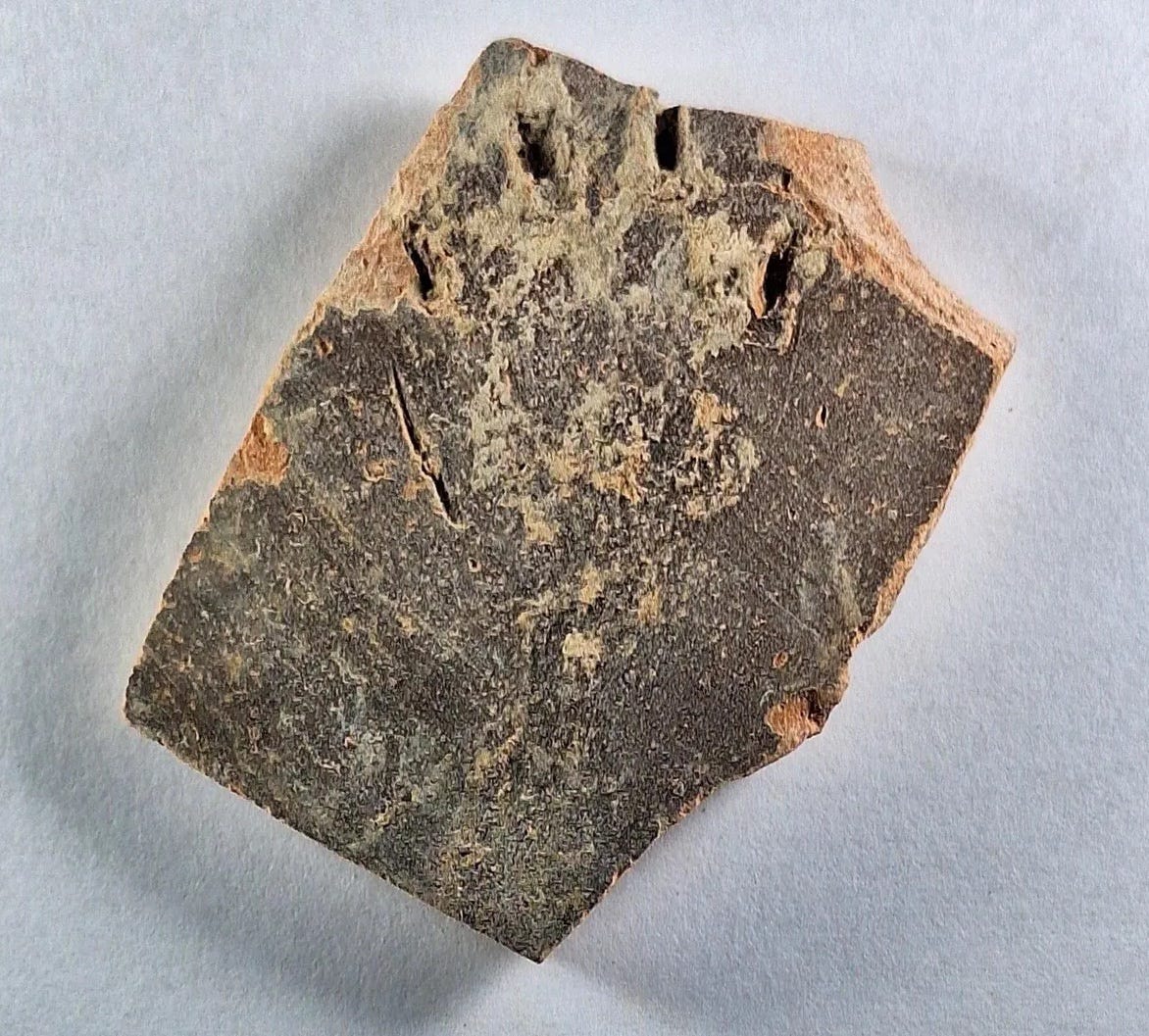 Archaeological evidence of cat "making biscuits" 1,200 years ago