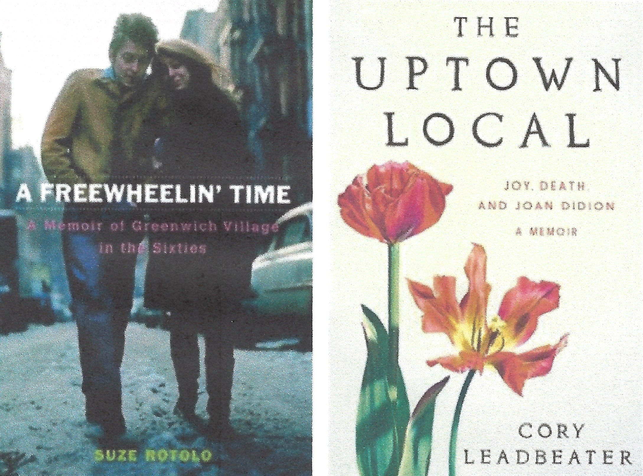 The Fame-Adjacent Memoir - by Debby Waldman-What To Believe