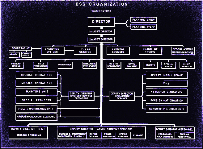 Black Gold: The Smithsonian Connection - ᴋʟᴀᵾs