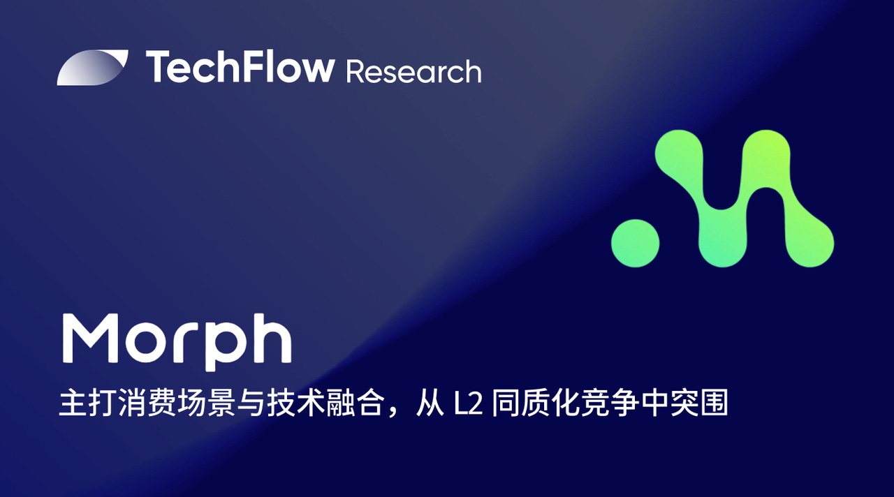 解读 Morph：主打消费场景与技术融合，能否从 L2 同质化竞争中突围？ - 深潮 TechFlow