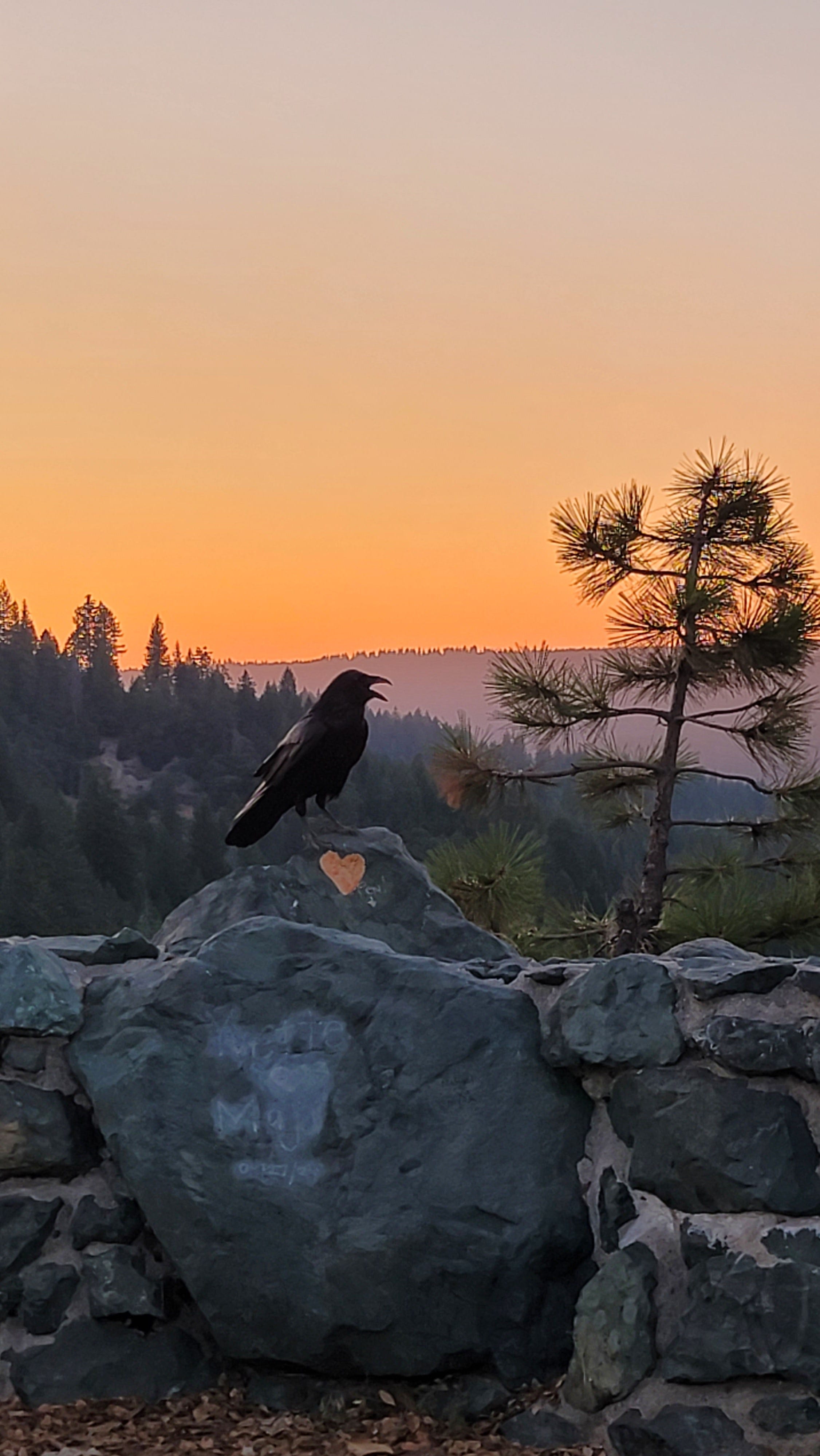 The way to happiness... - by Steve Enos - Steve’s Substack