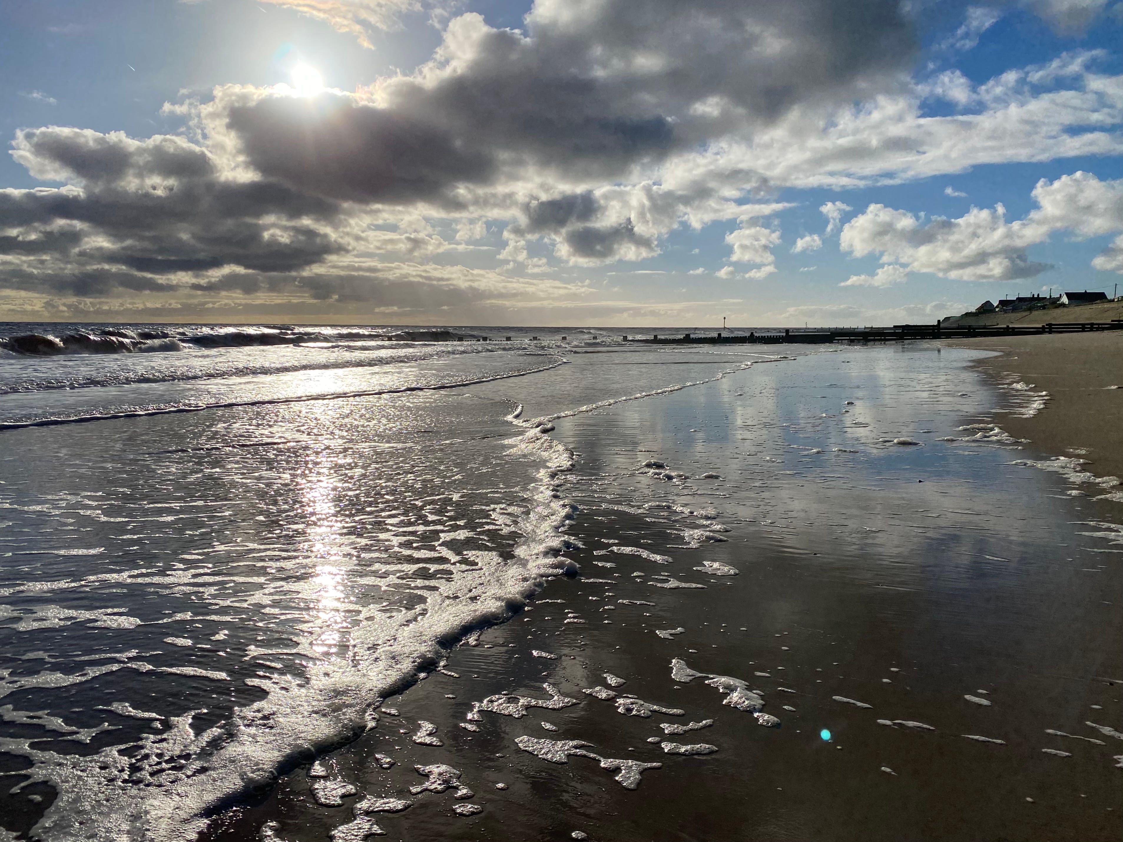 Saved By The Moon - by Imogen Ashwin - Bracken & Wrack