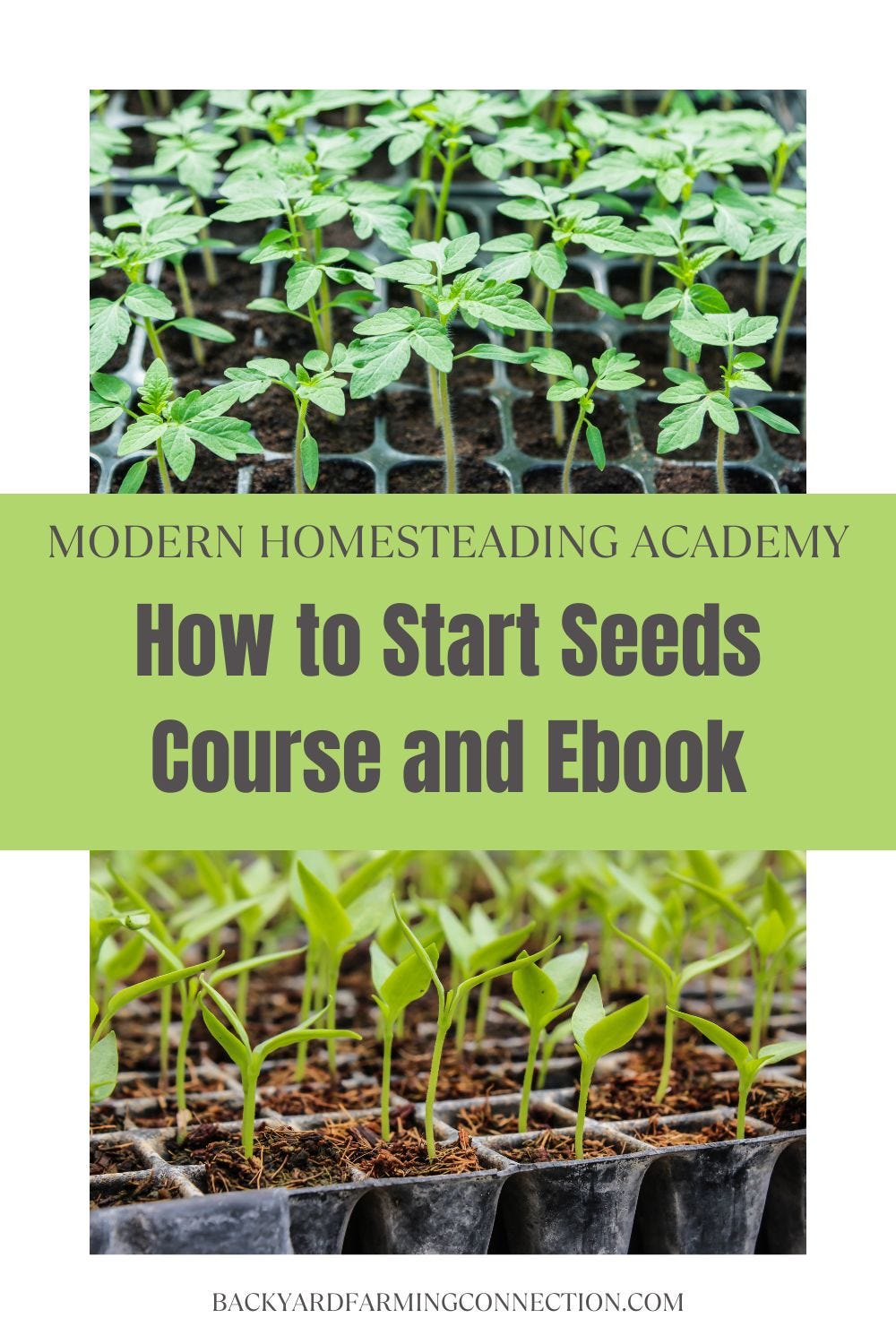 How to Start Seeds Indoors: Mini Course