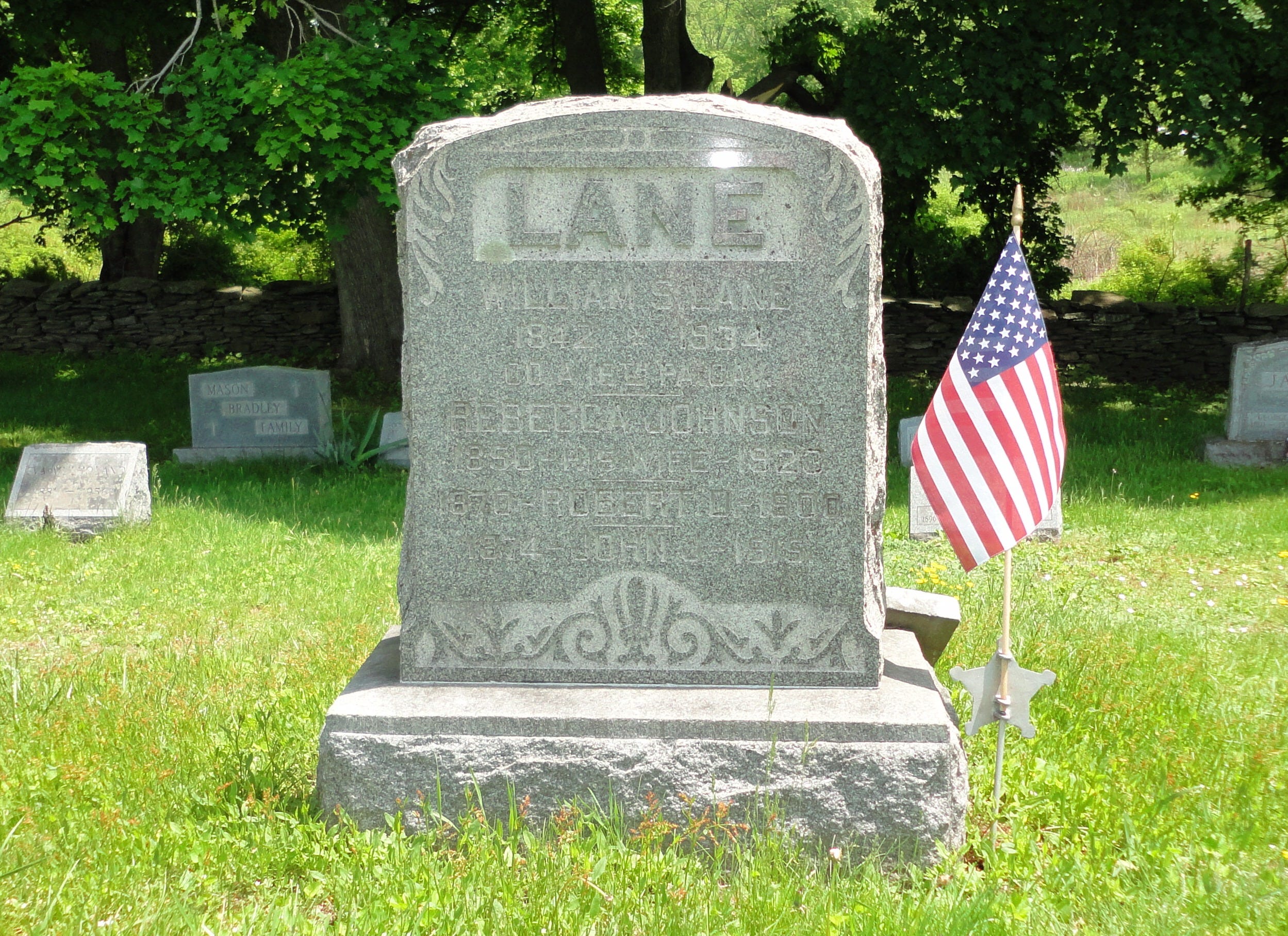 Shaking the Family Tree, Vol. 1 - by Charles Robert Jones