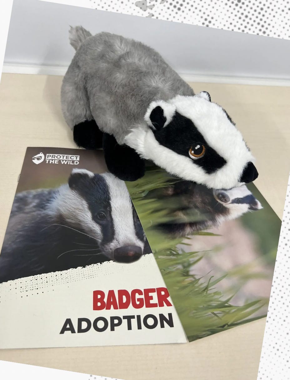 Sick gamekeeper filmed badger torture for social media