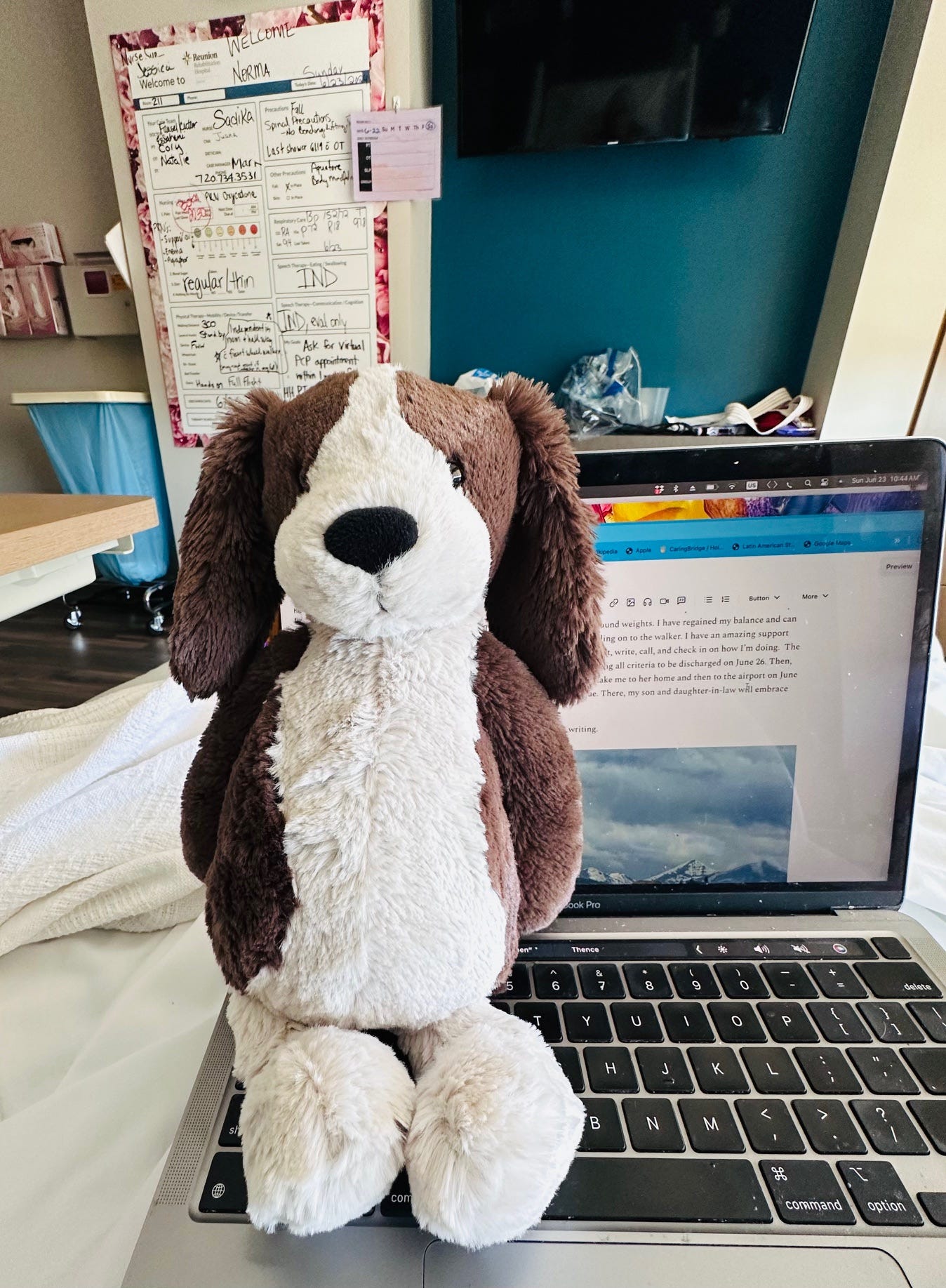 Two Rods and Four Screws - by Norma Schafer