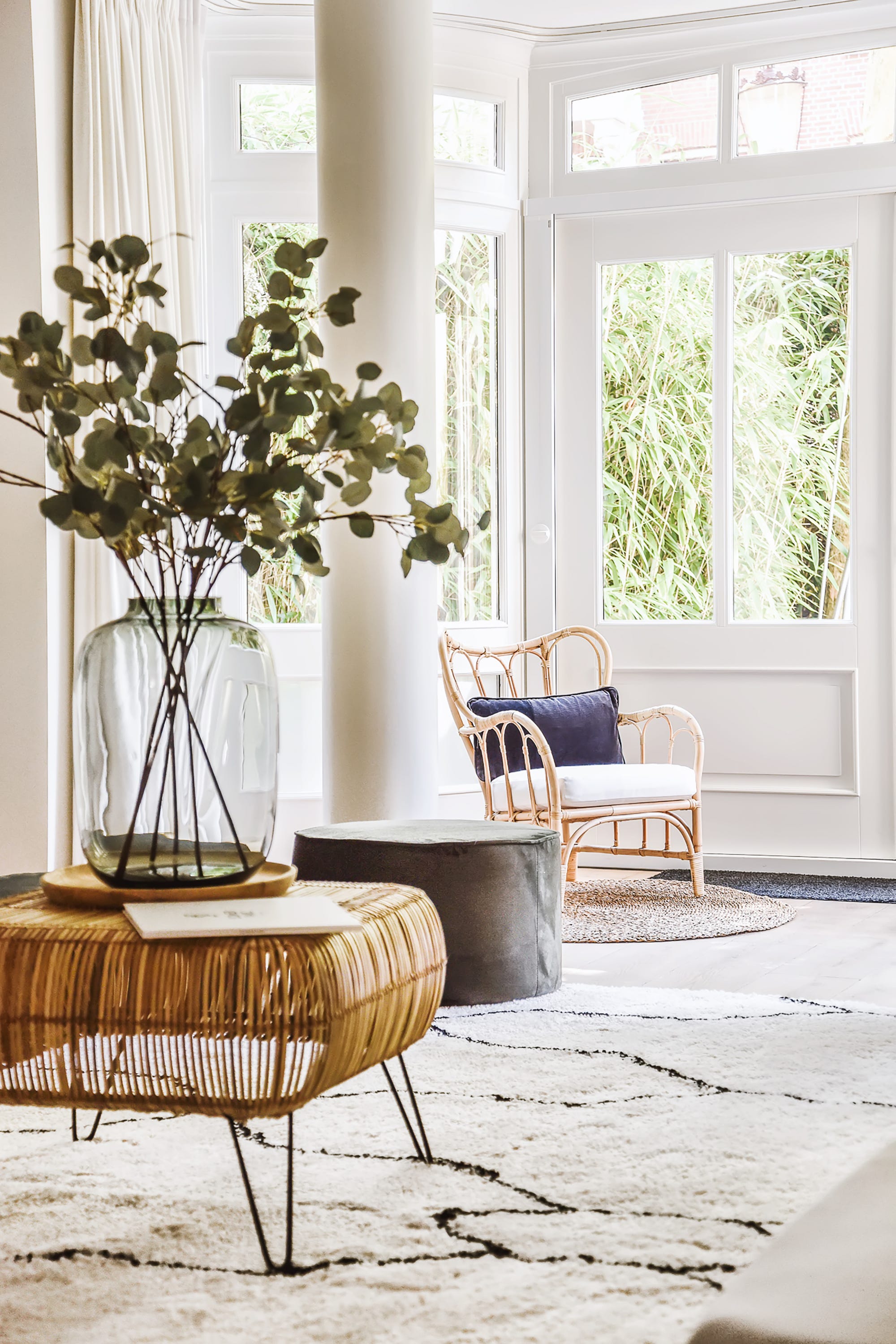 The 5 Best Plants for a Lush Living Room - TimelessDaily