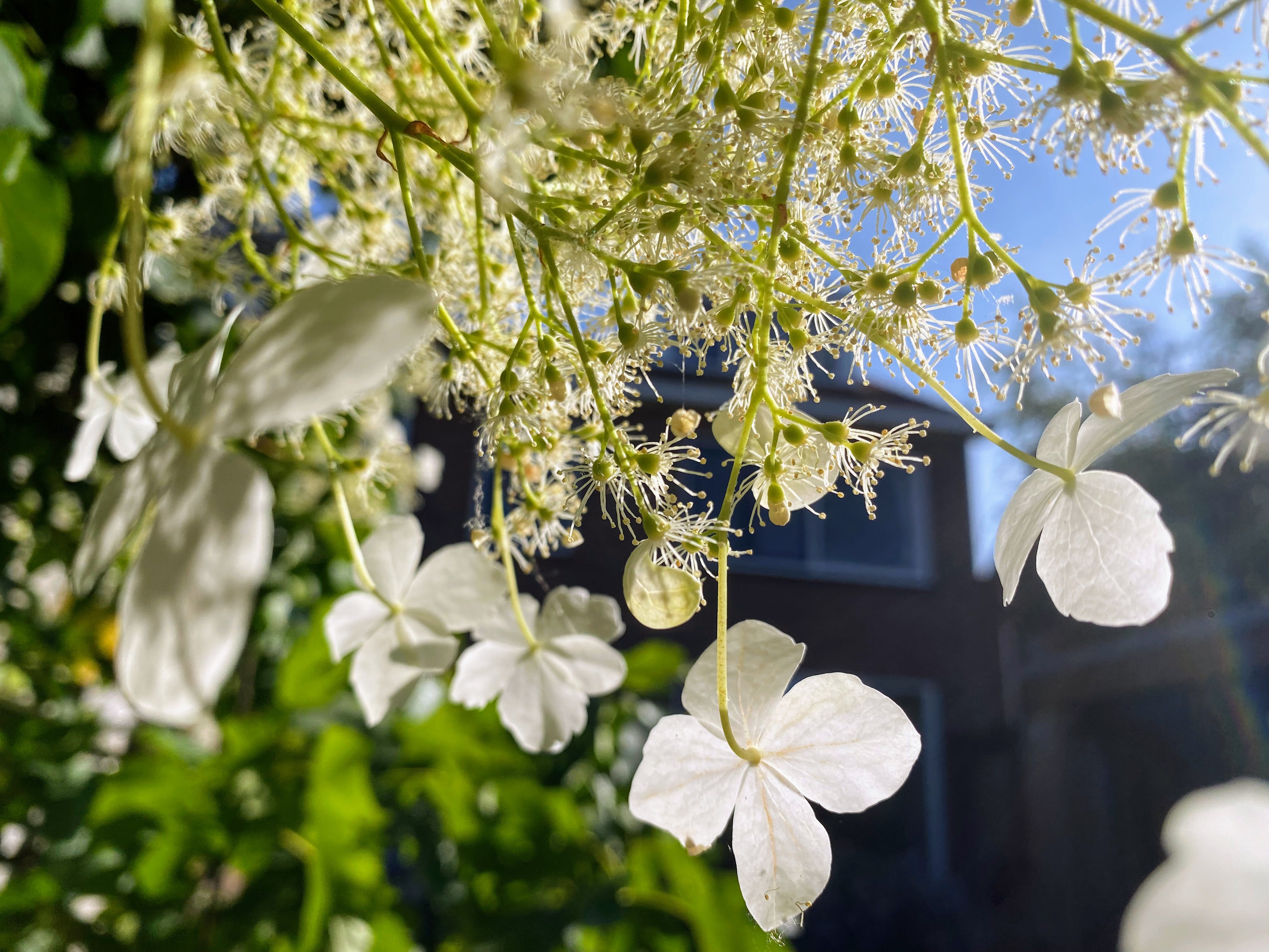 Lessons from six months on Substack - by Astrid Bracke