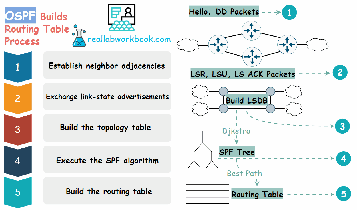 OSPF Builds Routing Table Process - by Rose White