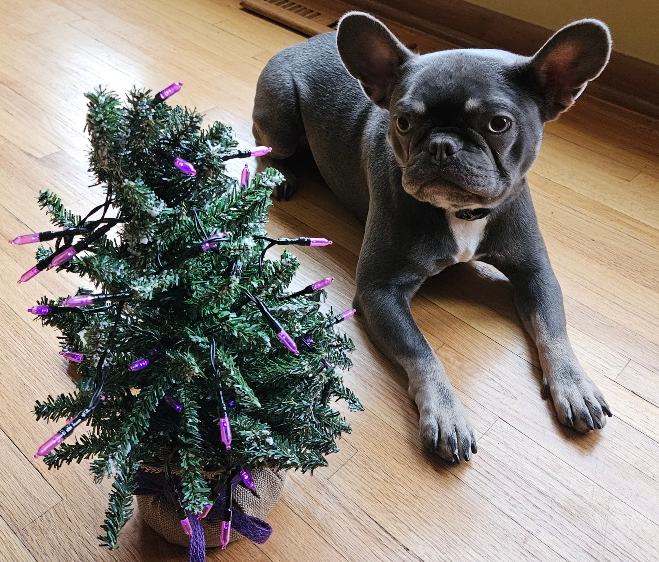 Team Humanity Monday Messages of Hope #2