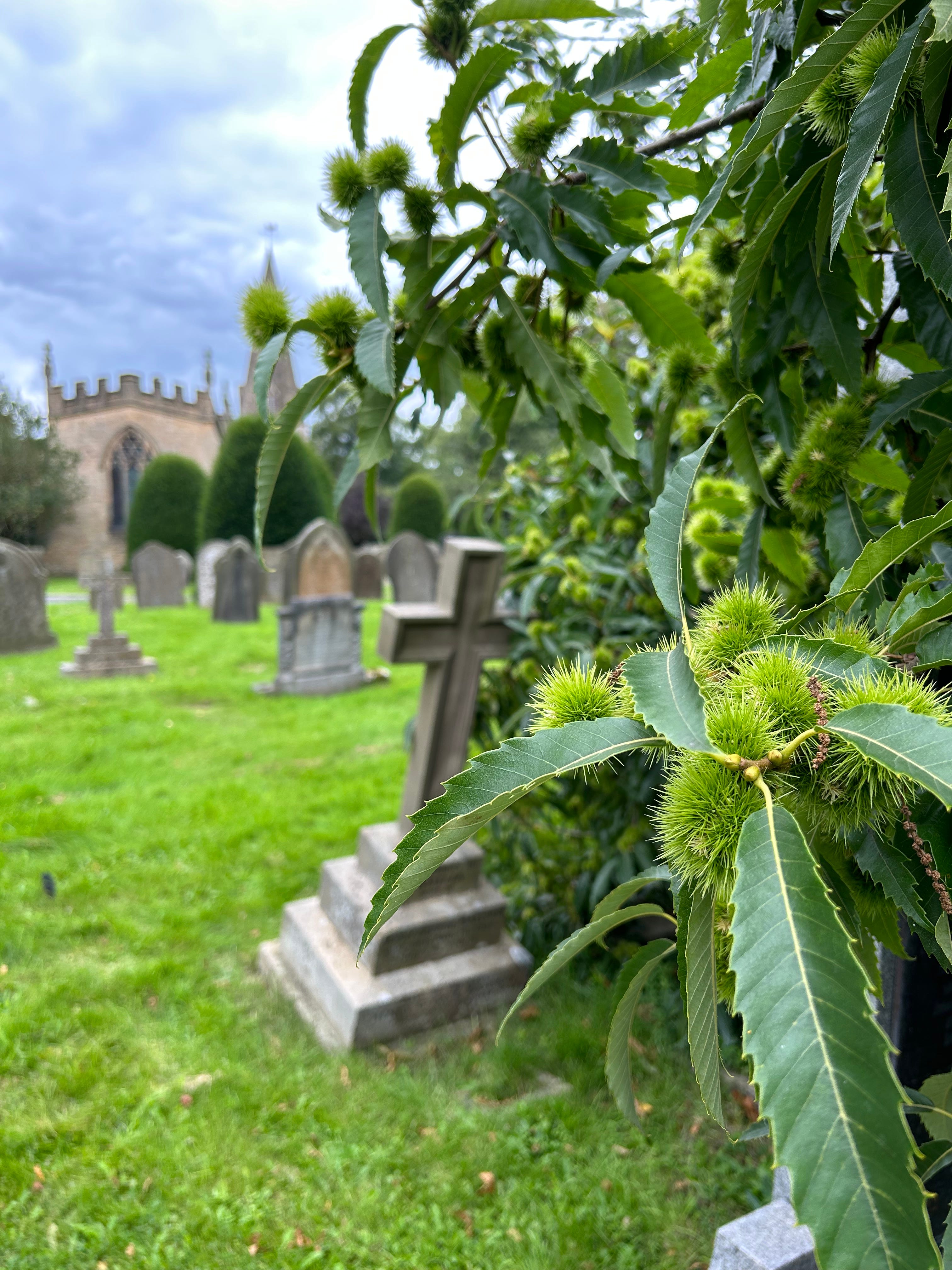 The Derbyshire Village of Baslow - by Roland Millward