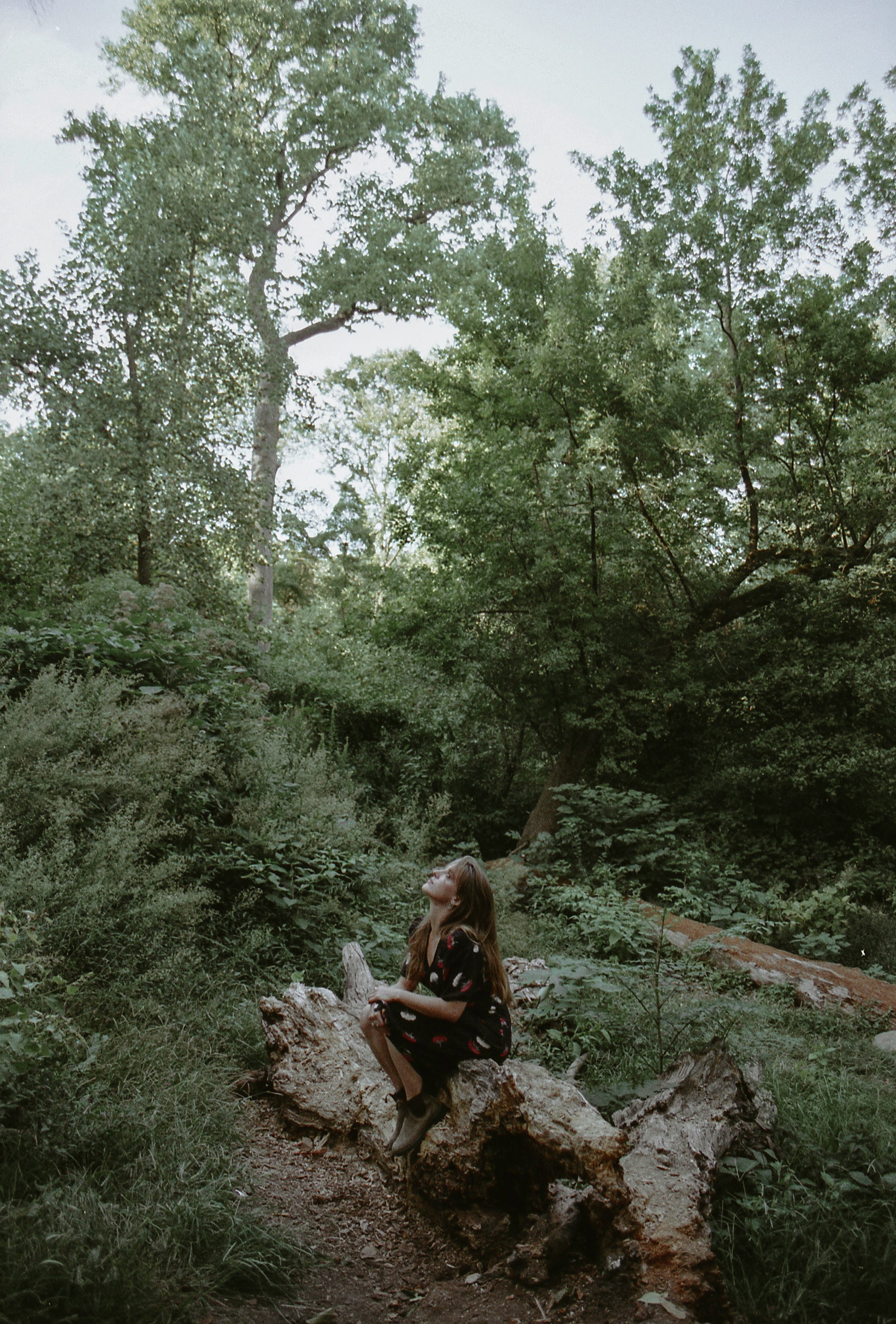 Amanda Krische | Substack