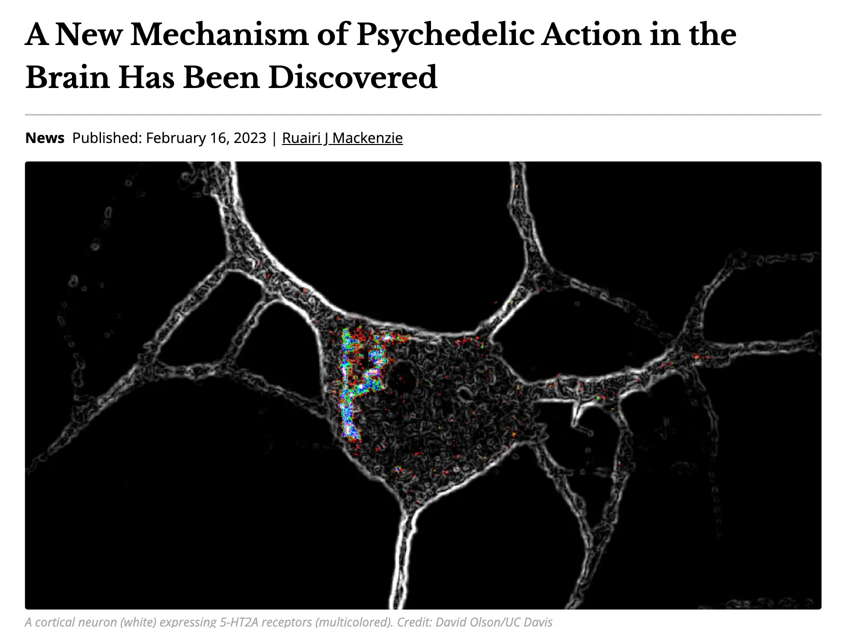 Psychedelics, neuroplasticity, and intracellular 5HT2A receptors...