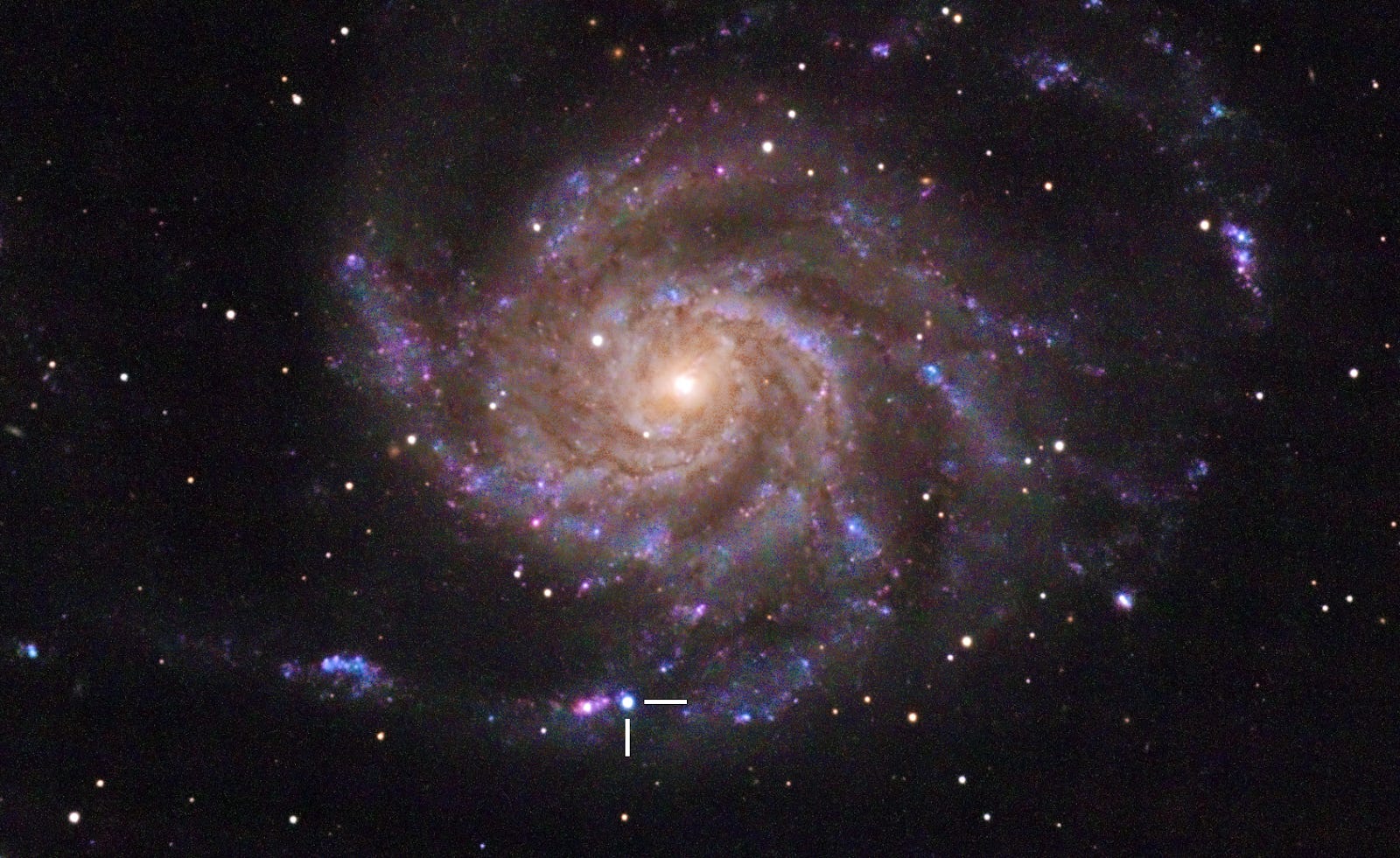 Supernova Discovery Leads to Alien Search, Fast Neutrinos, And the ...