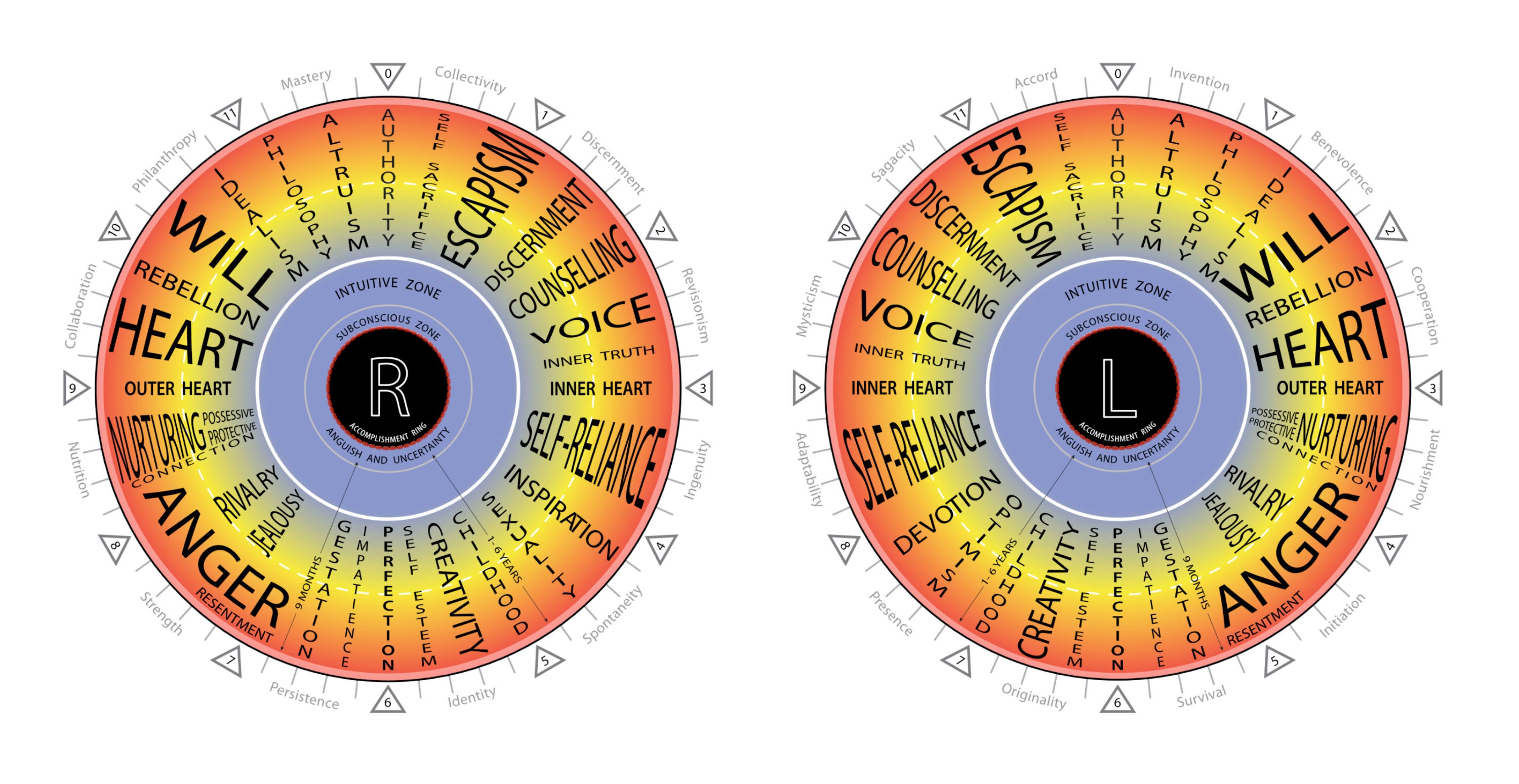 Emotionally Driven Type - Behavioural Iridology