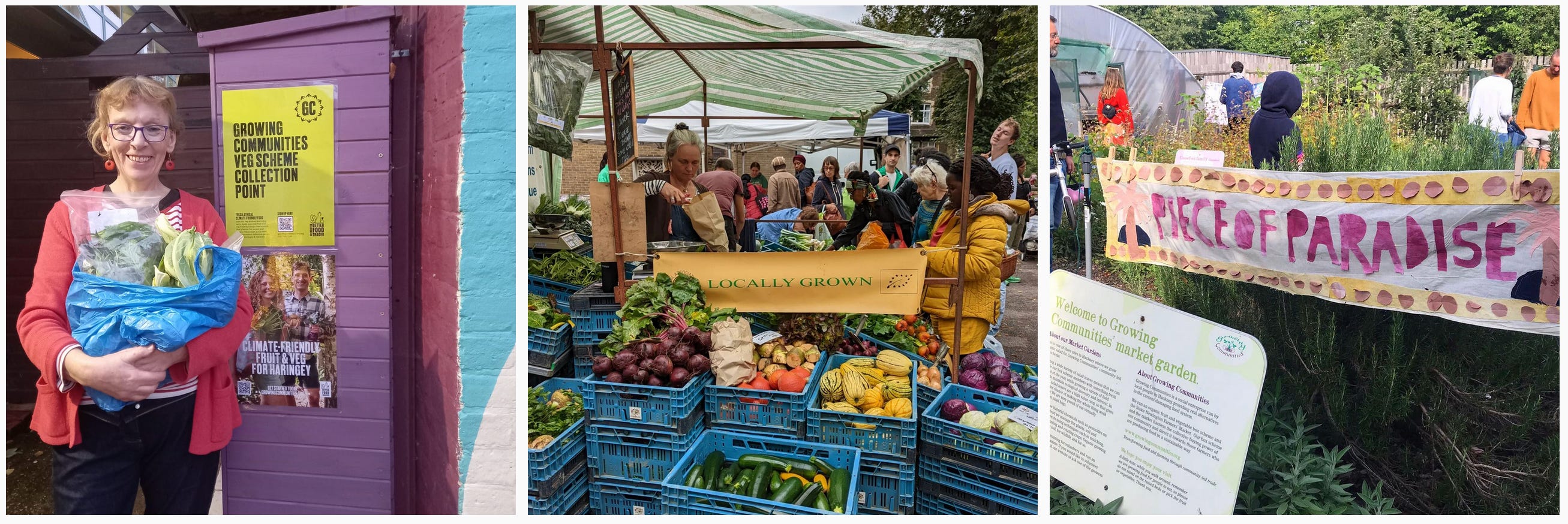 Supporting sustainable food systems through vegetable box schemes.